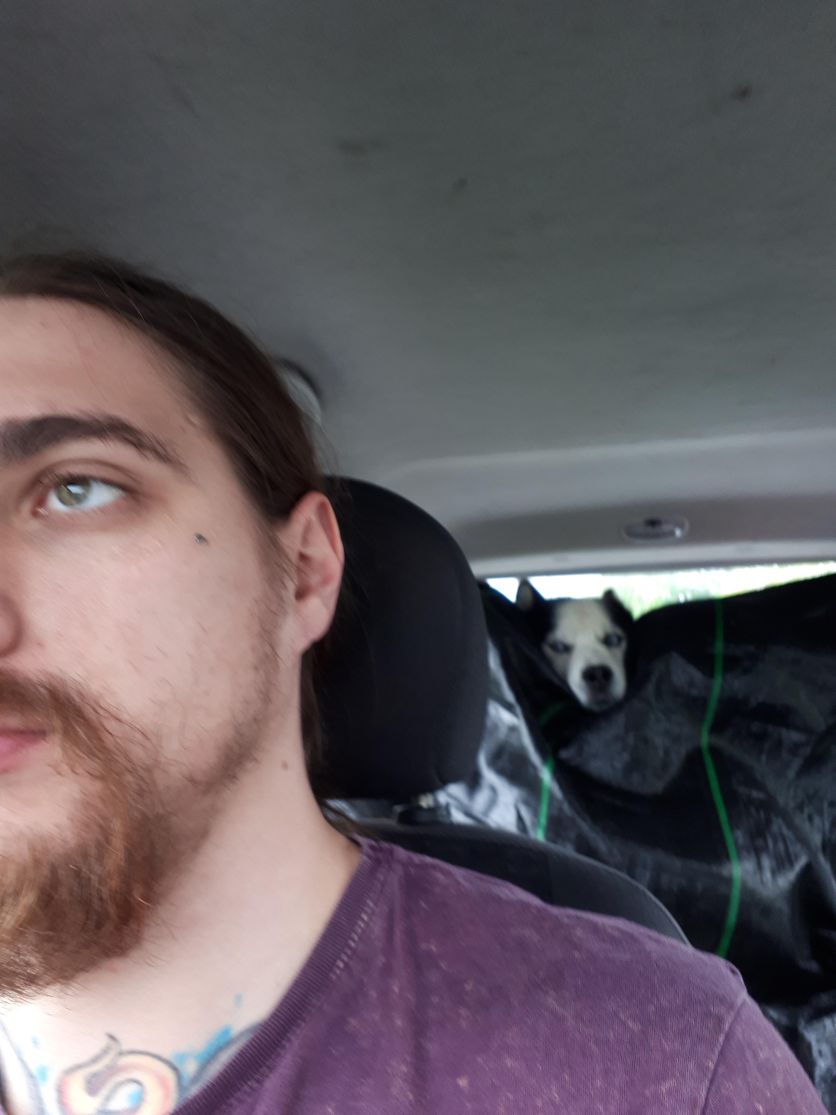 Diesel my co pilot | Scrolller