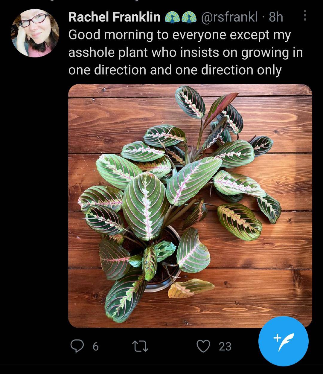 Different type of dramatic | Scrolller