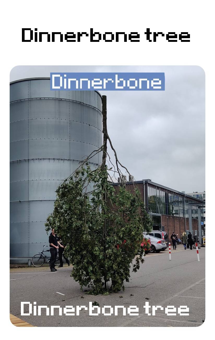 Dinnerbone tree | Scrolller