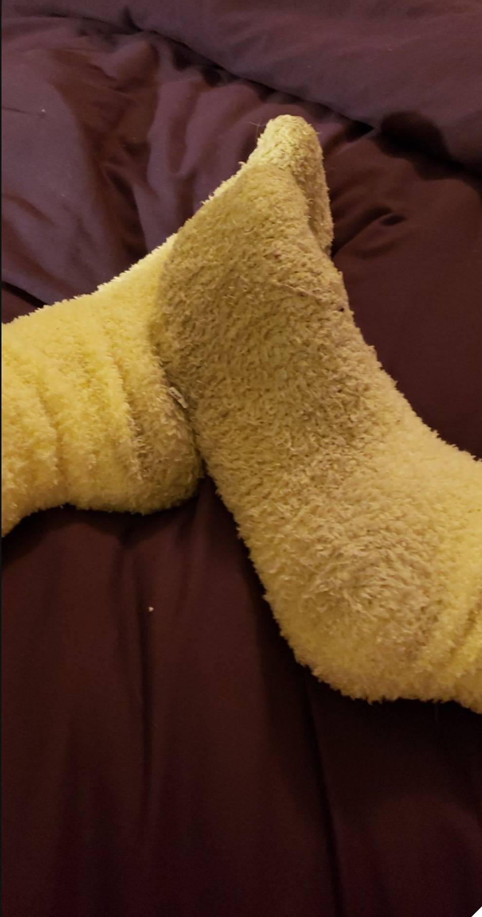 Dirty, fuzzy socks | Scrolller