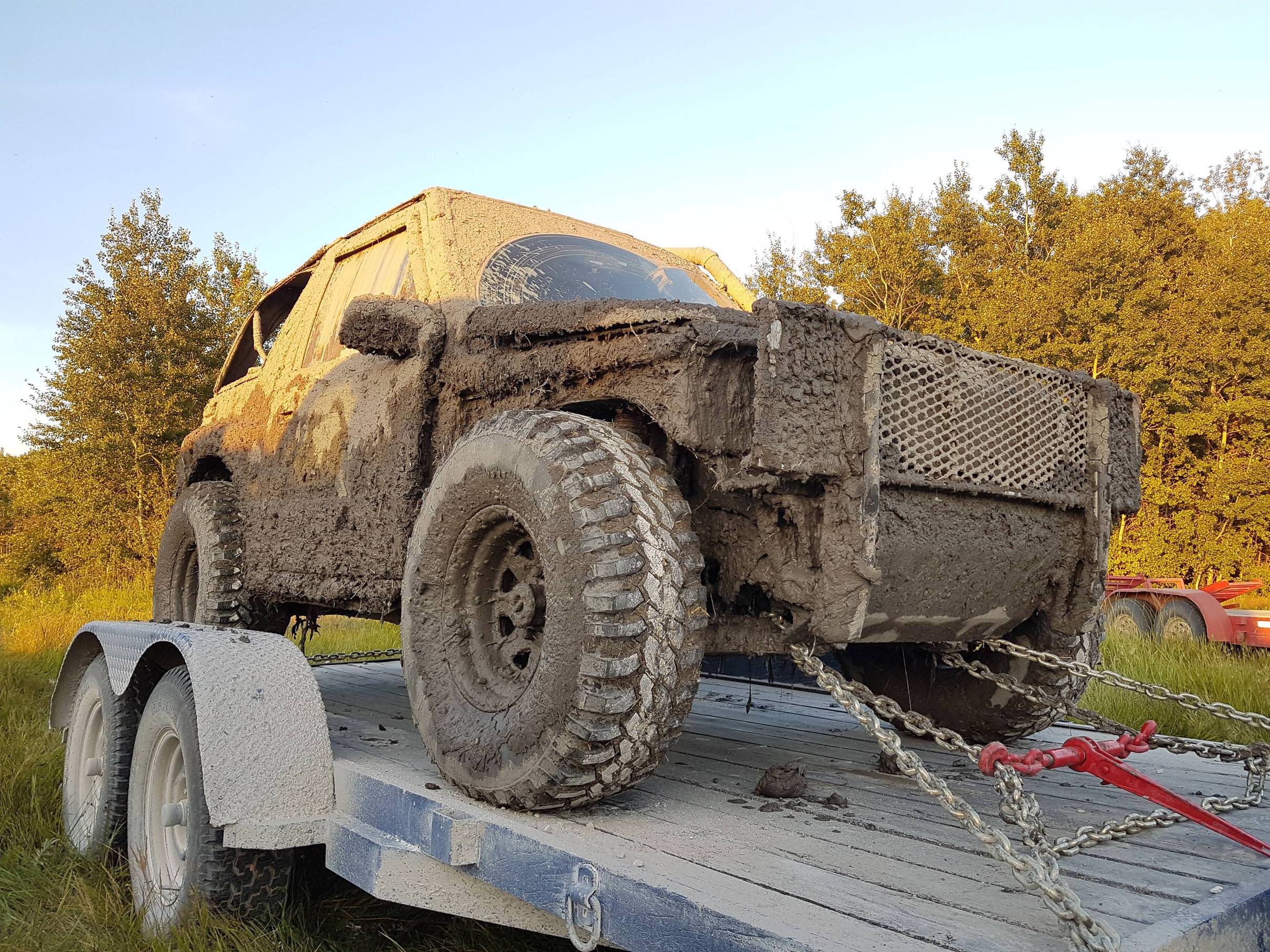 Dirty little pig after its mud bath | Scrolller