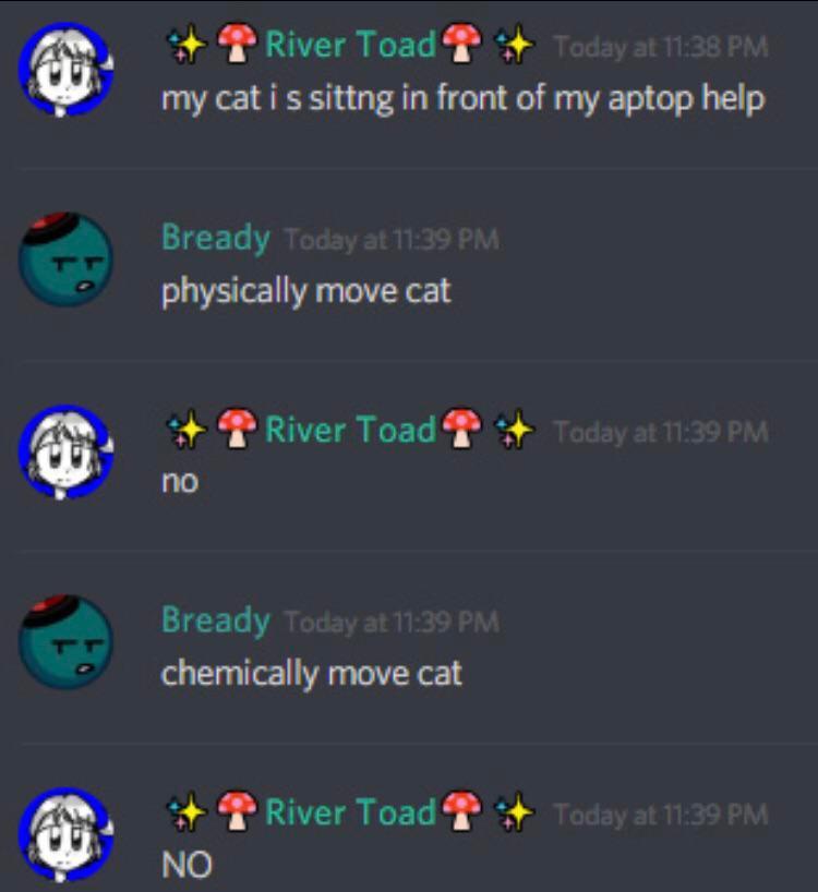 discord_irl | Scrolller