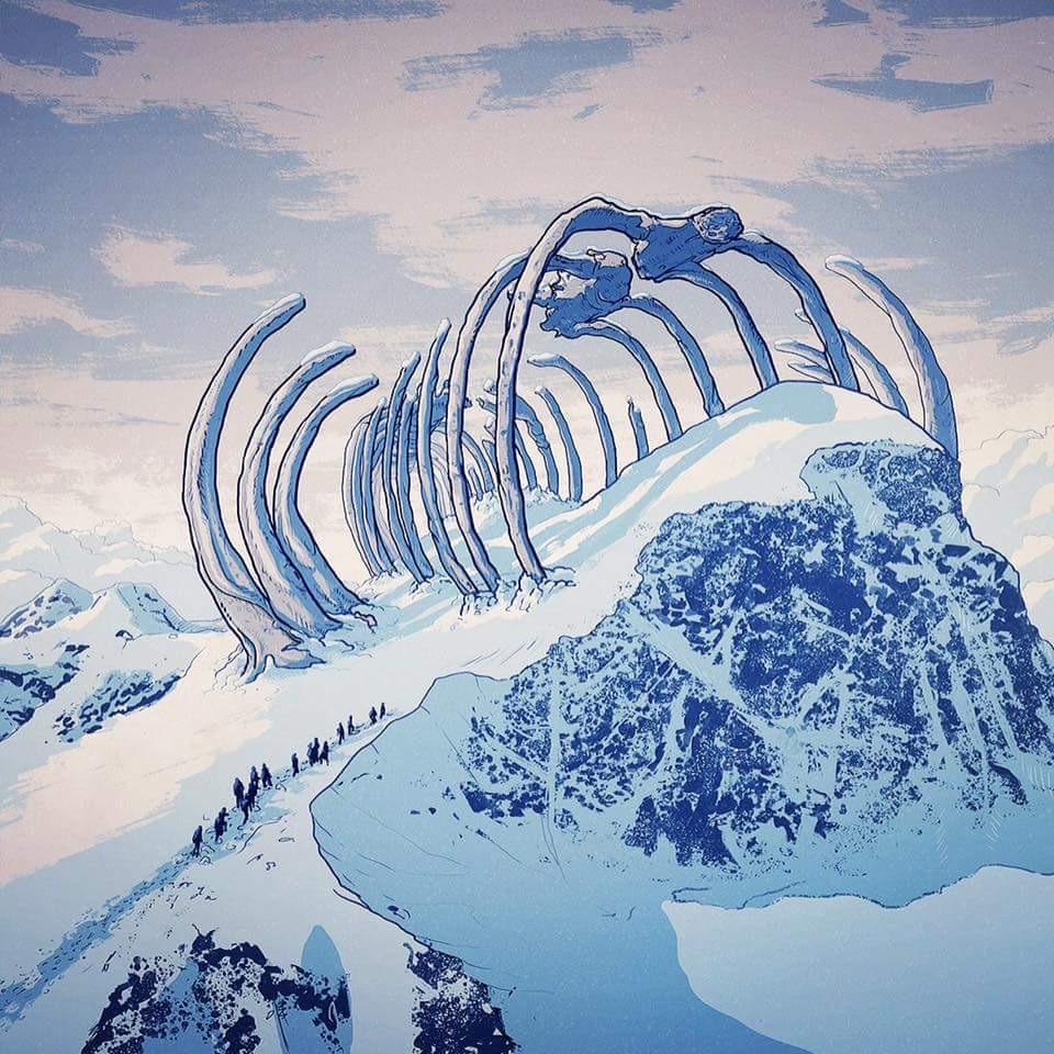 Discovery | Scrolller