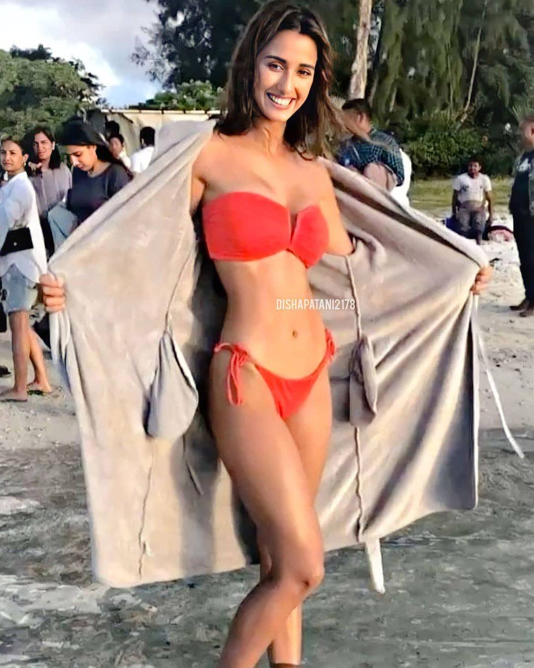 Disha patani in a bikini is just out of this world | Scrolller