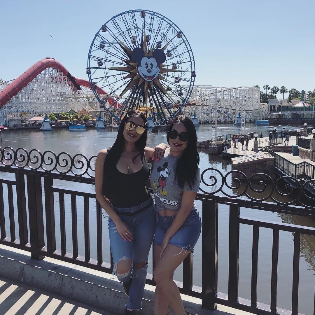 Disneyland | Scrolller