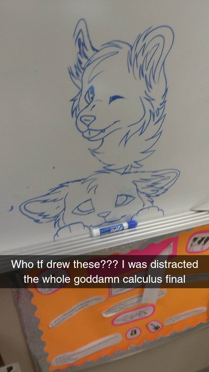 Distraction_irl | Scrolller