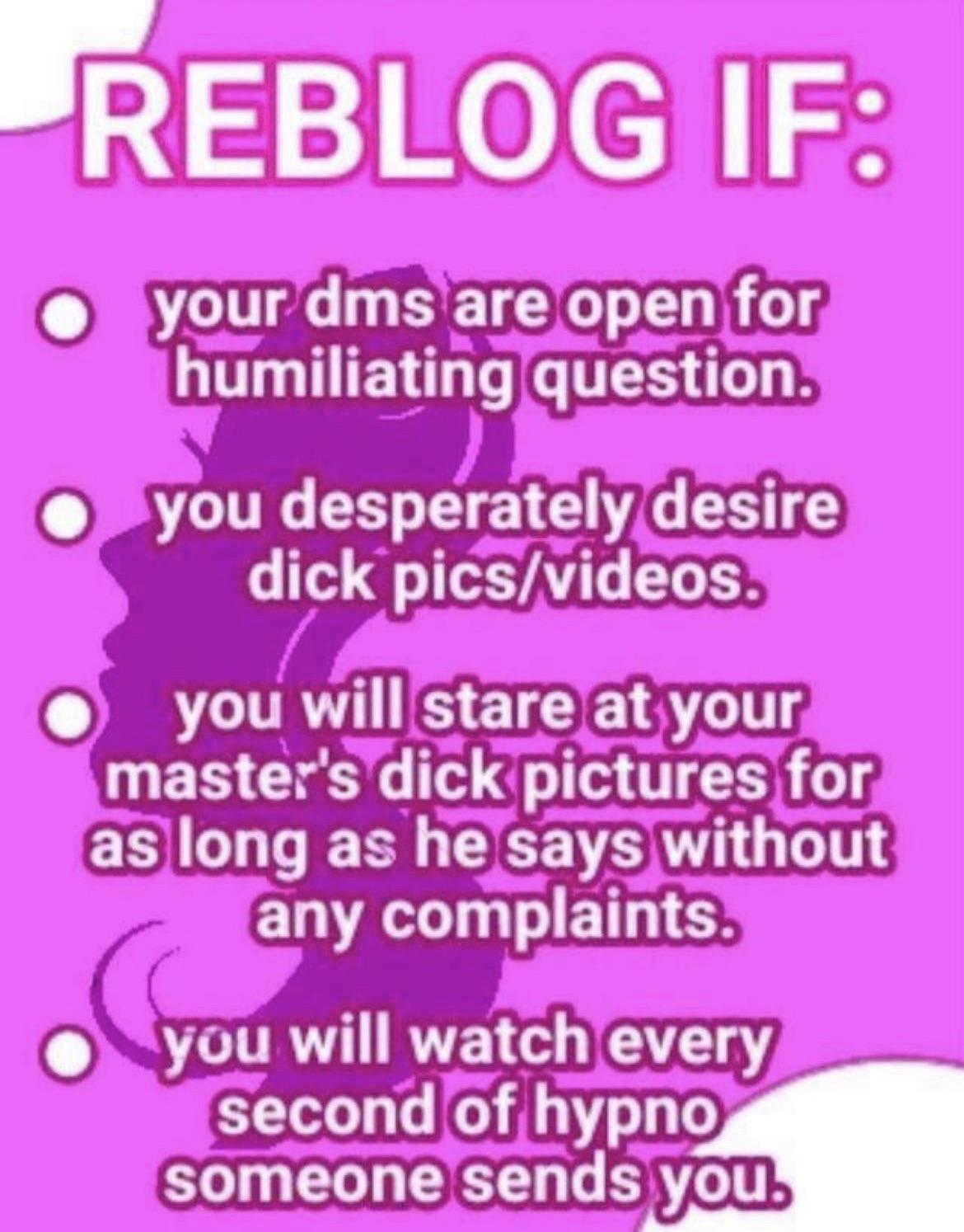 Dms are always open | Scrolller