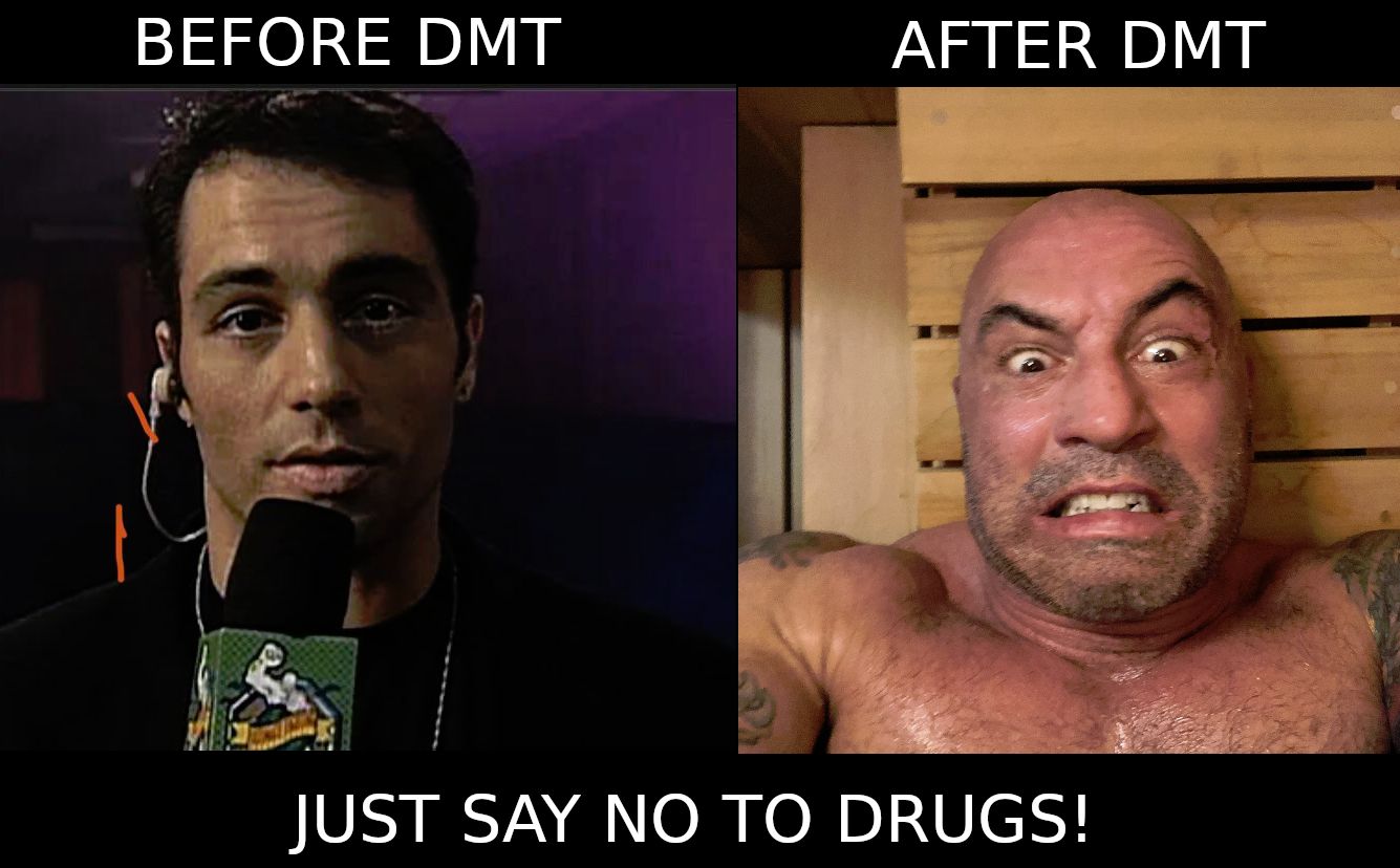 DMT is worse than meth | Scrolller