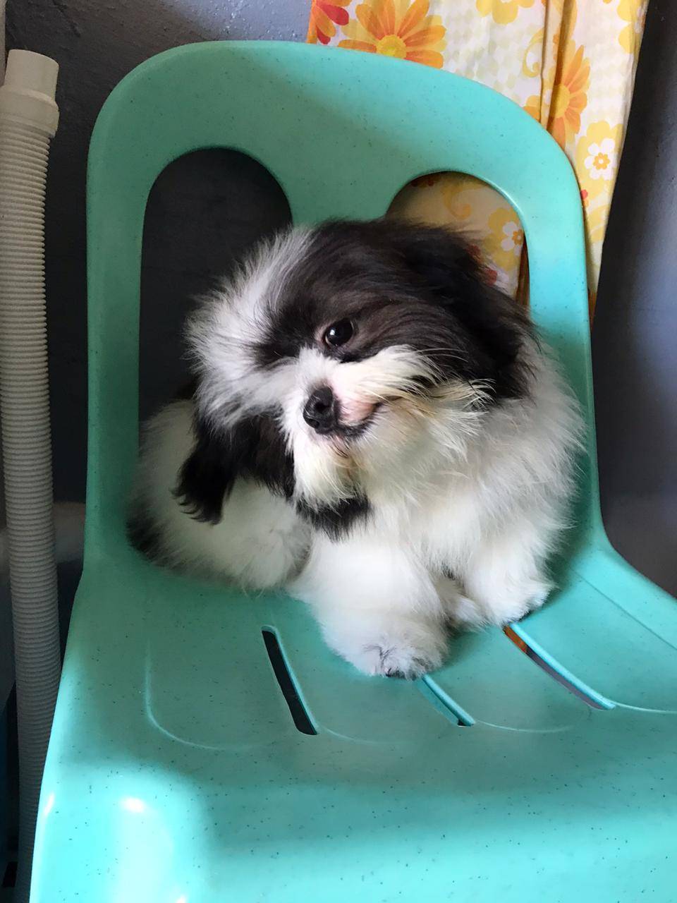 Do i have your attention now? | Scrolller