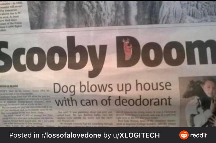 Do newspaper headlines count? | Scrolller