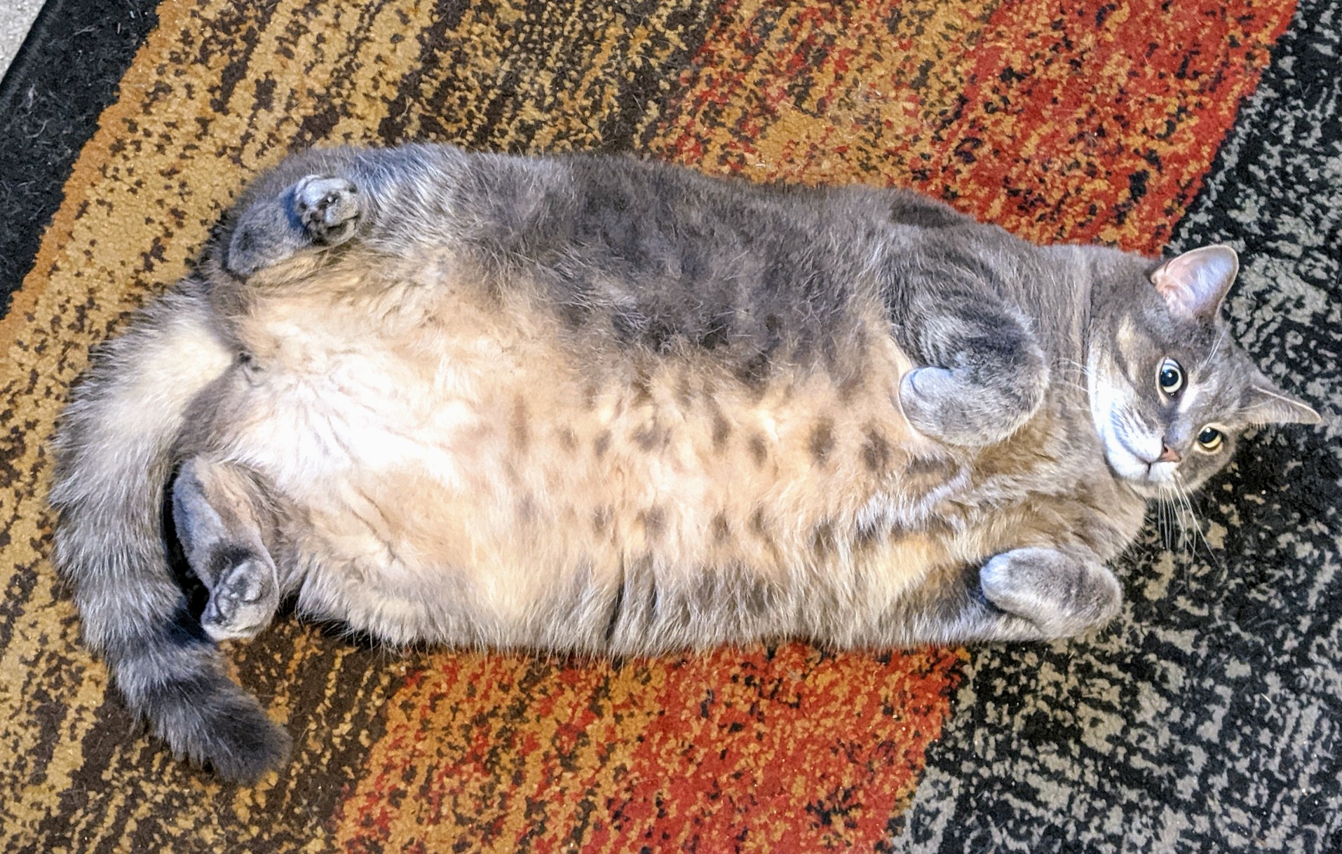 Do not touch! | Scrolller