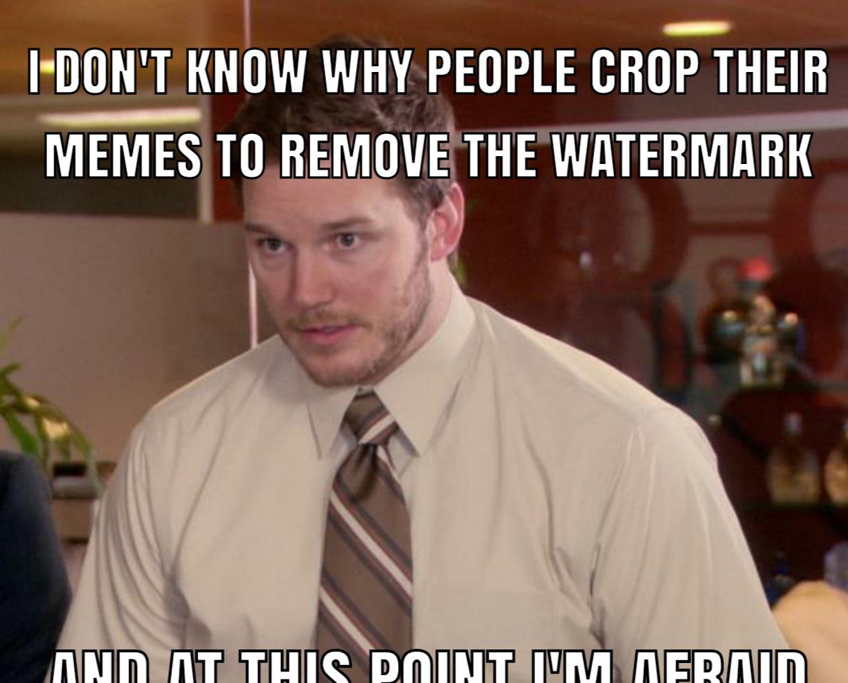 Do we have a good reason guys? | Scrolller