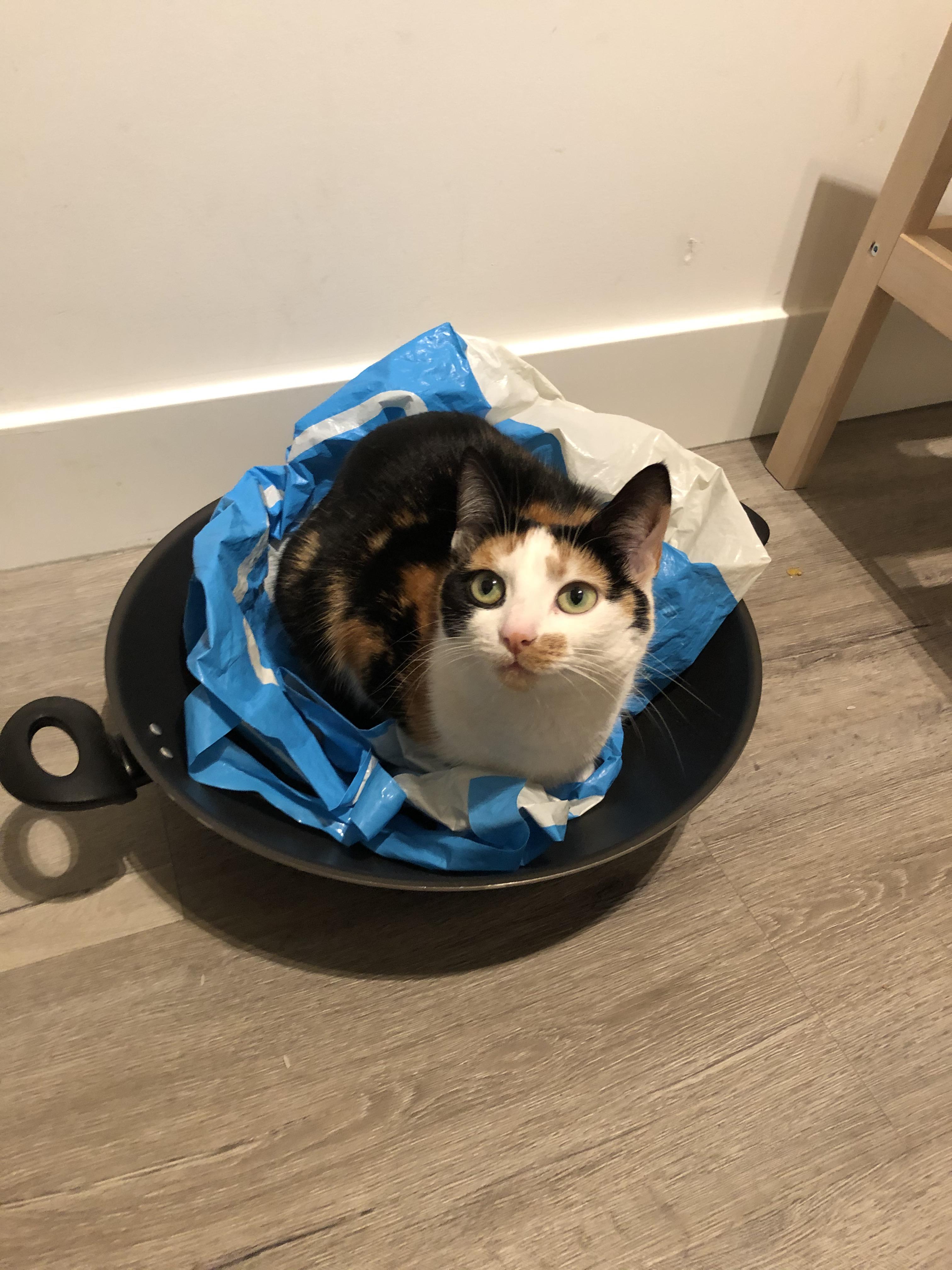 Do woks count? | Scrolller