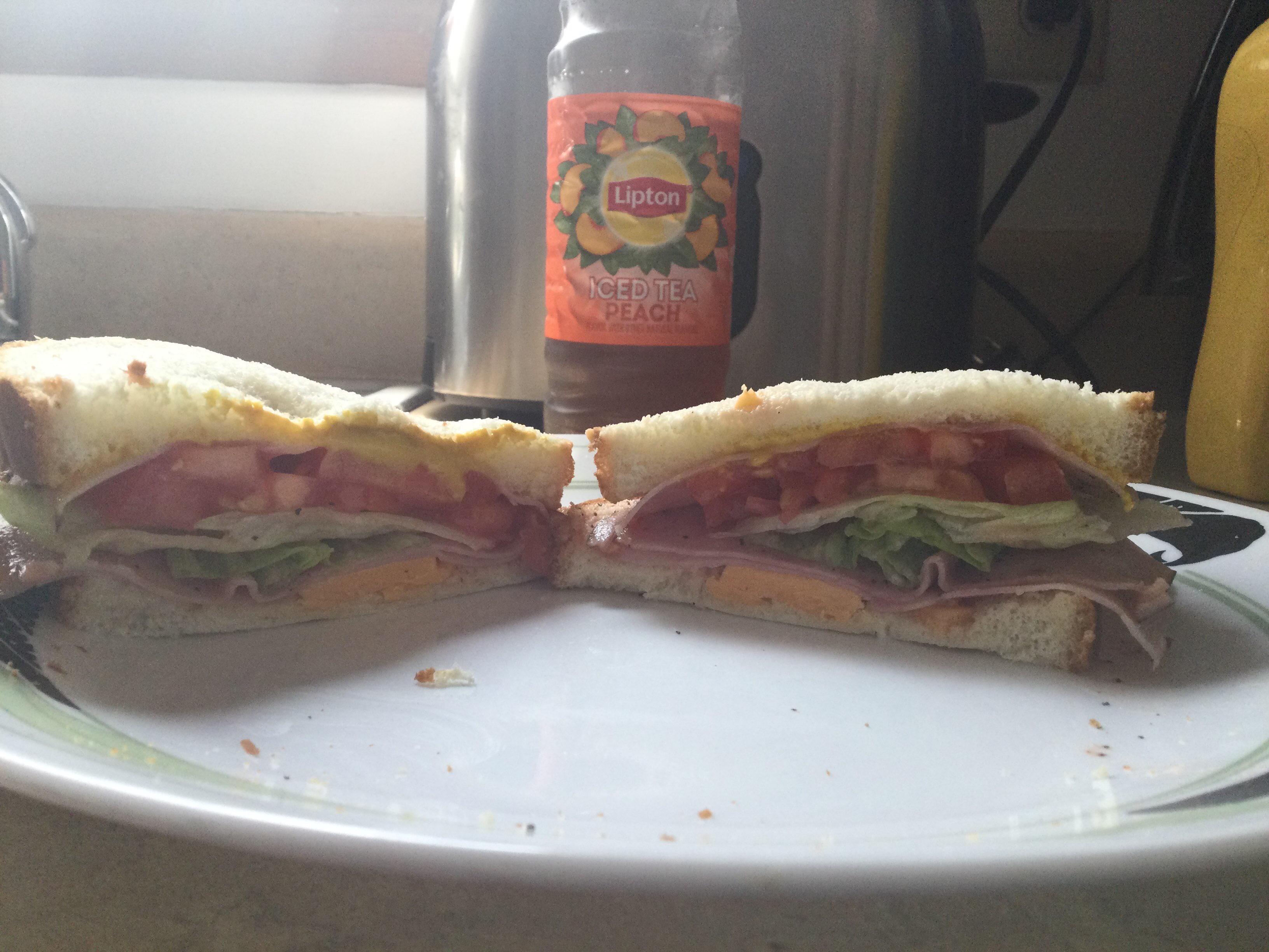 Do you guys like my sandwich? | Scrolller