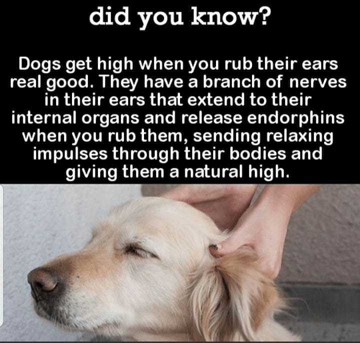 Do you know? | Scrolller