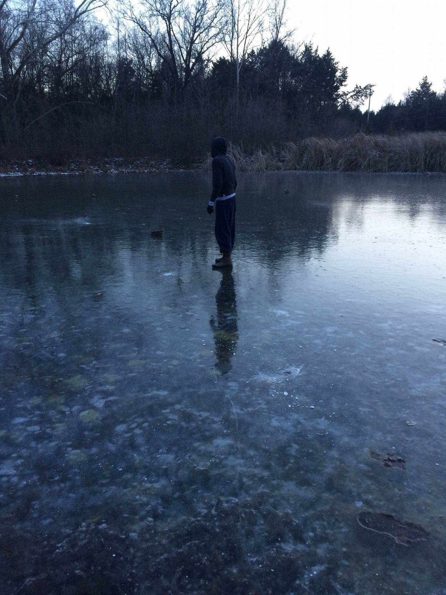 does a Pond count? | Scrolller