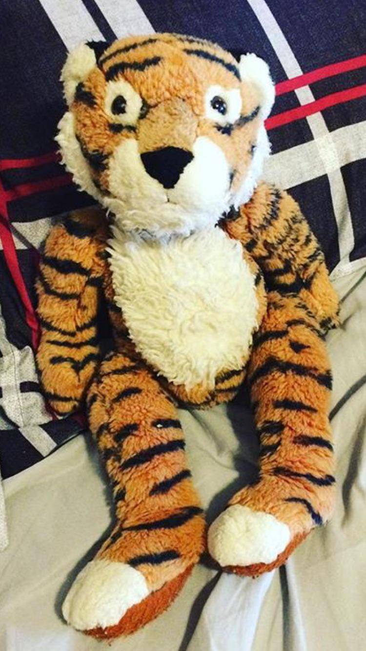 Does anyone know what brand or year this little stuffed tiger is from? | Scrolller