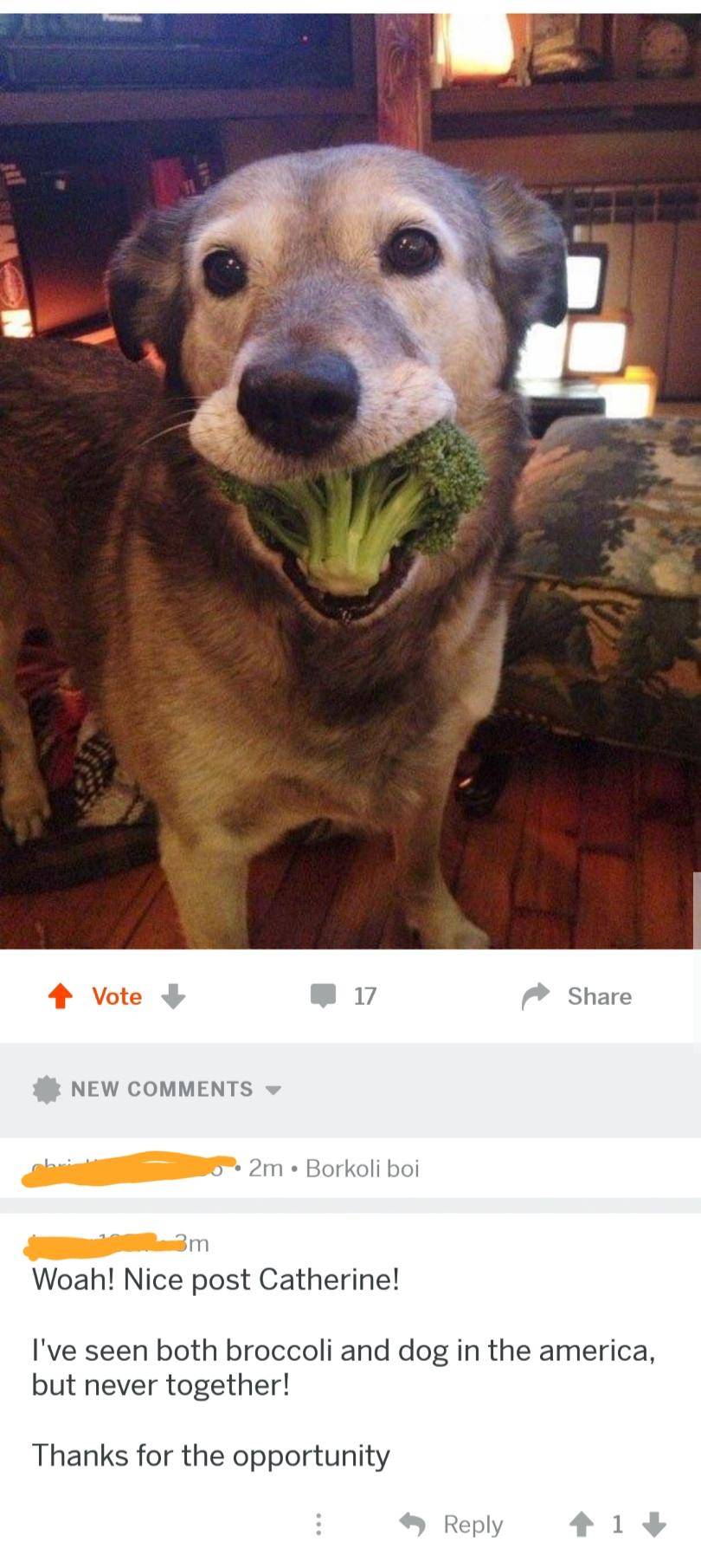 Does Indian people reddit count? | Scrolller