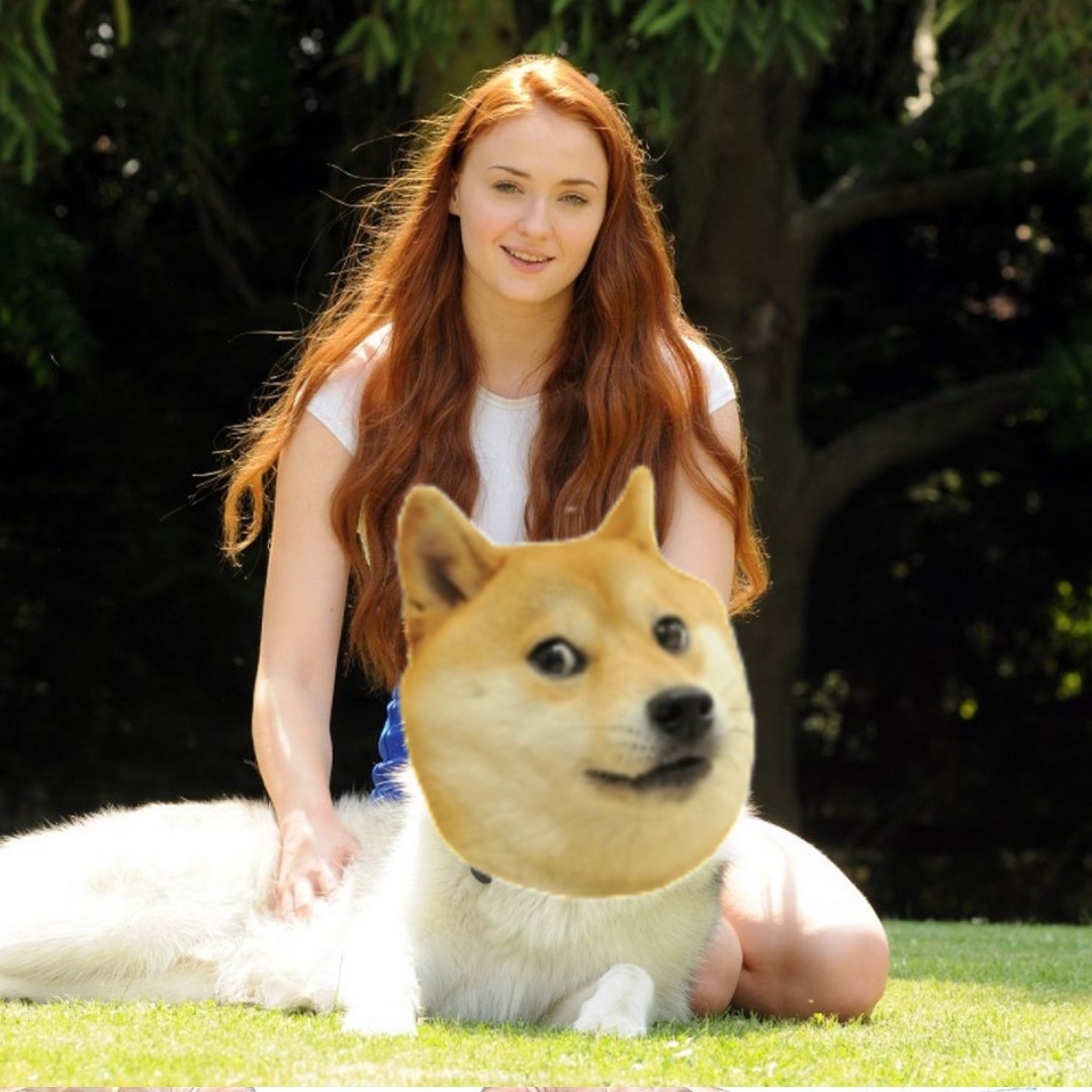 Doge mooning strong, becomes direwolf 🚀🚀 | Scrolller