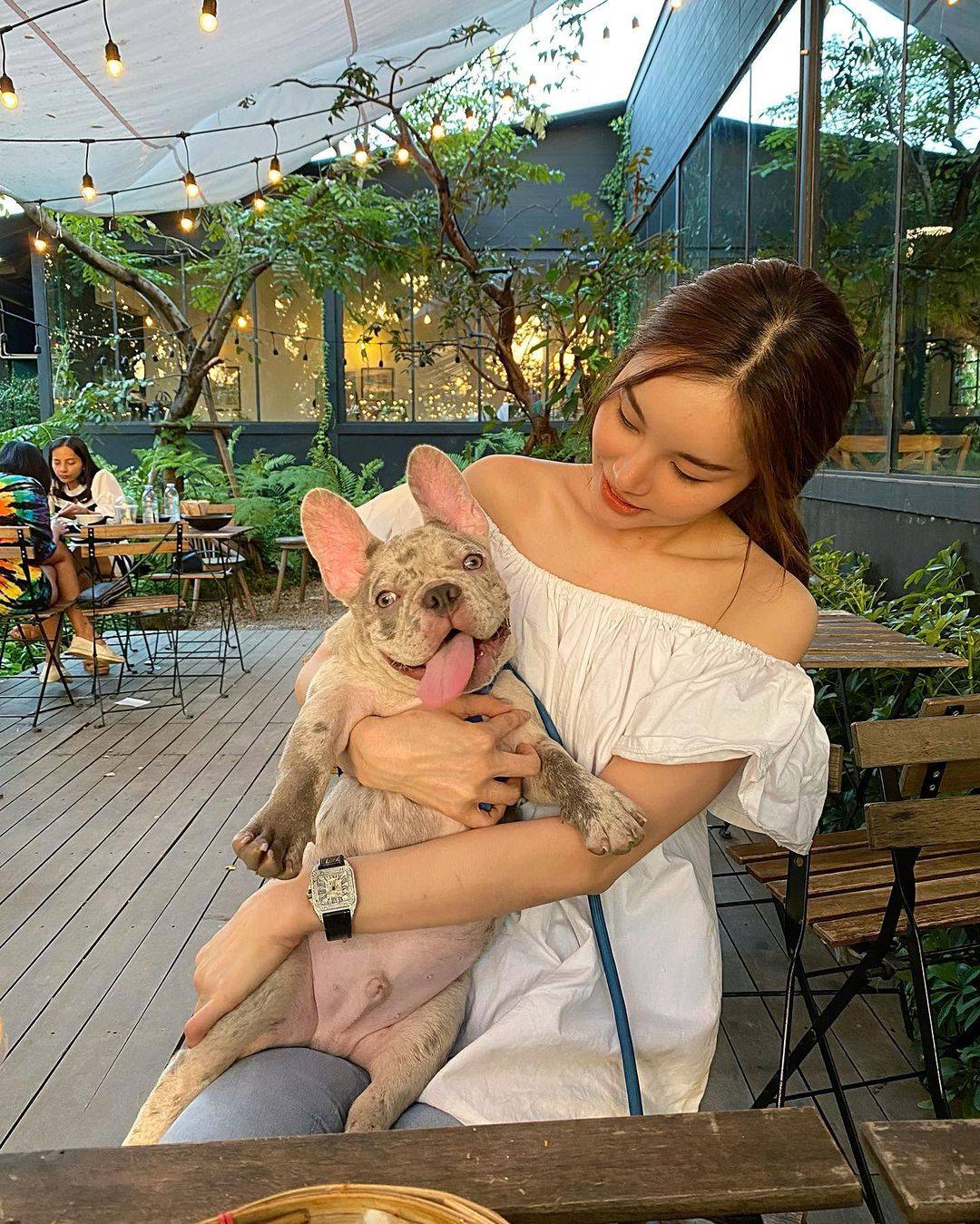 Dogs: This is my candid pose. | Scrolller