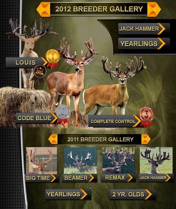 Dominant and Breedable Louis | Scrolller