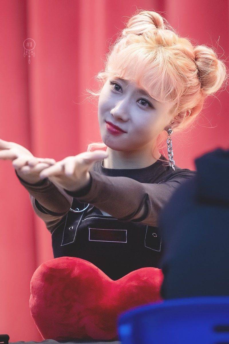 Dongie-Day -4 and counting | Scrolller