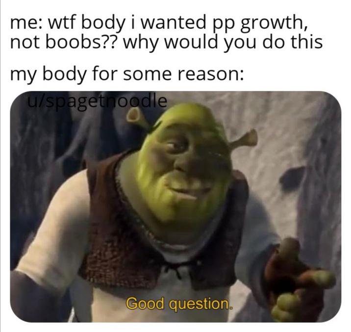 don't ask me why, i'm confused too | Scrolller