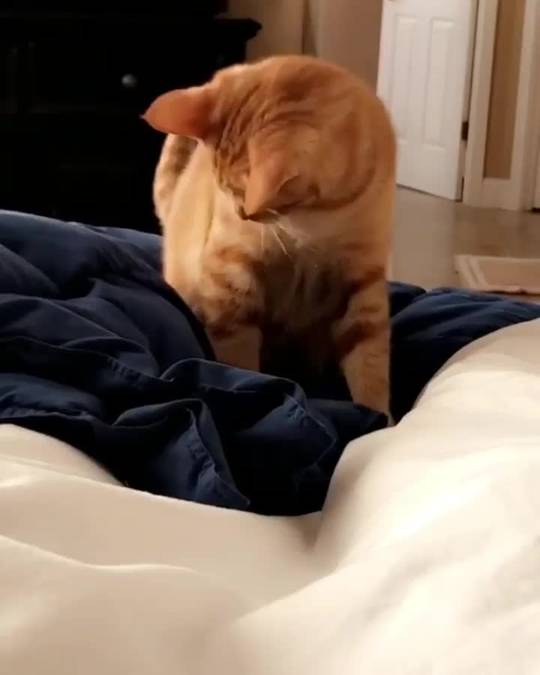 "Don't do that!" | Scrolller