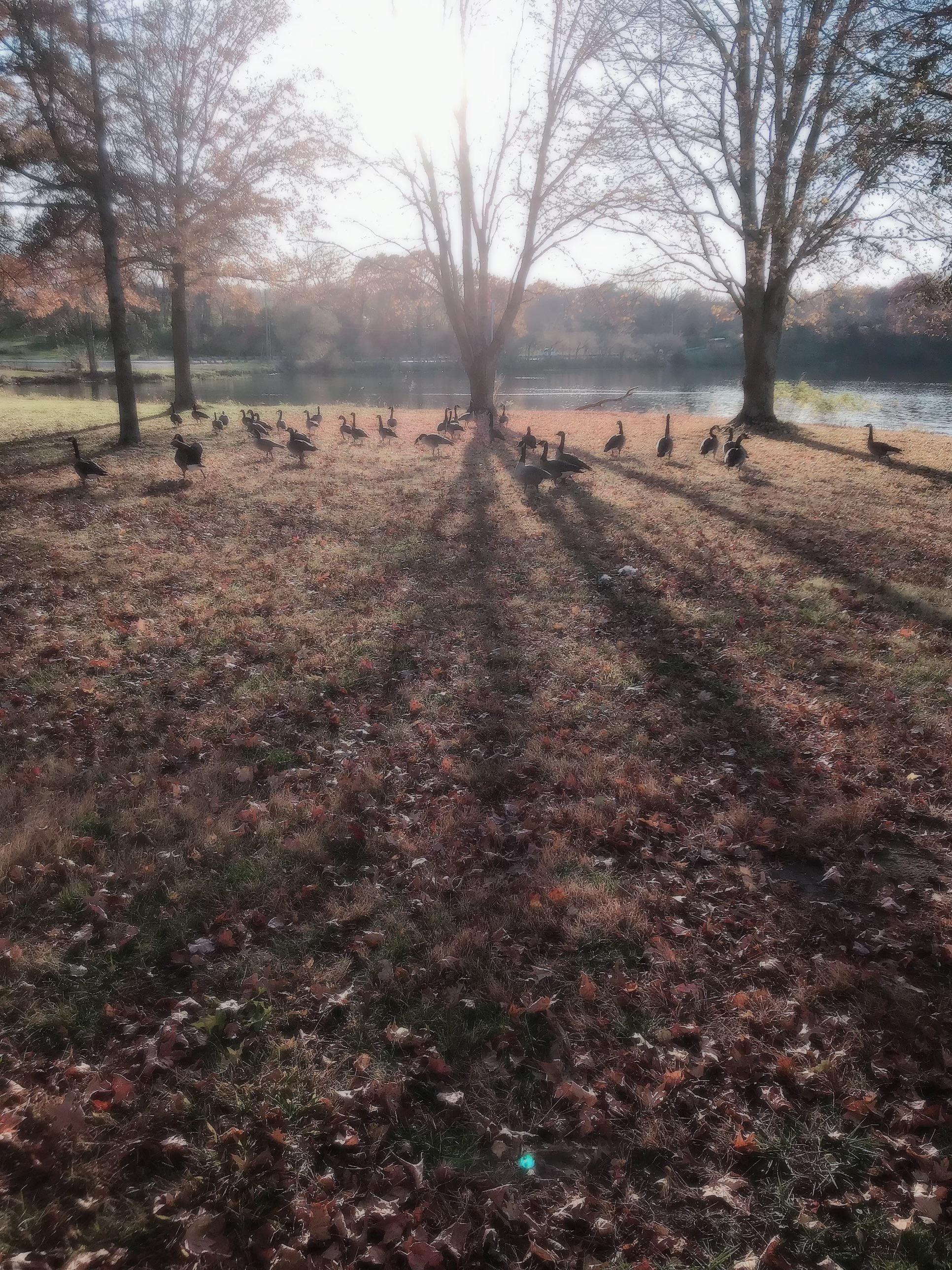 "Dont go into the light Brooke!"- the light: | Scrolller