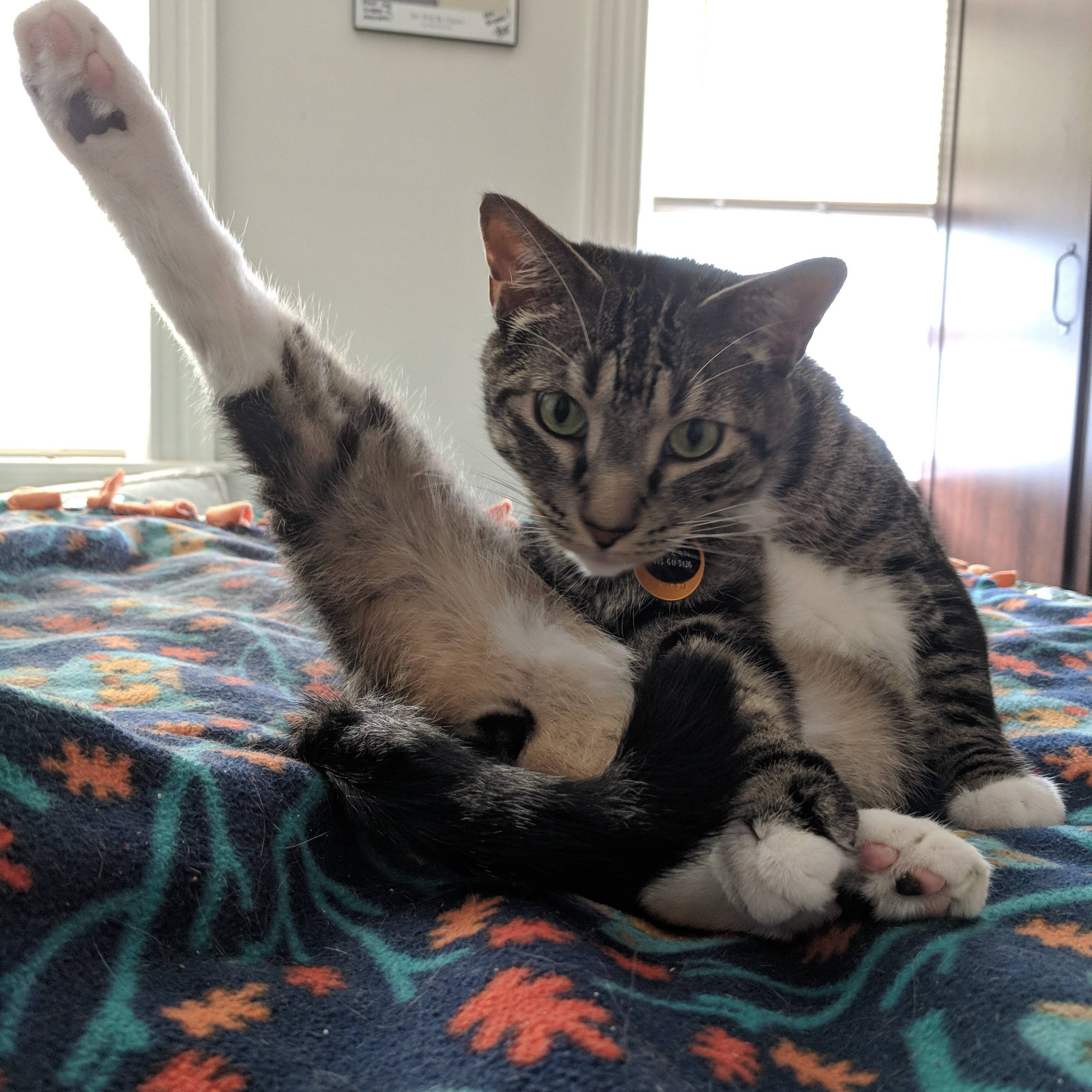 Don't leave him hanging | Scrolller