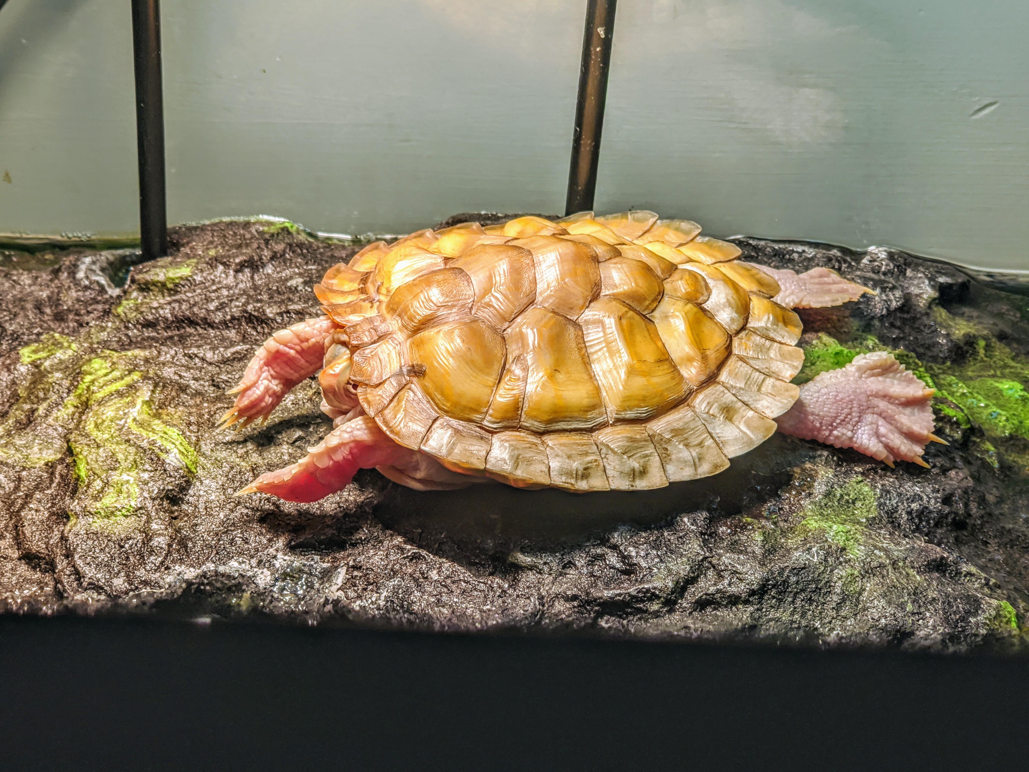 Don't mind me, I'm just basking. | Scrolller