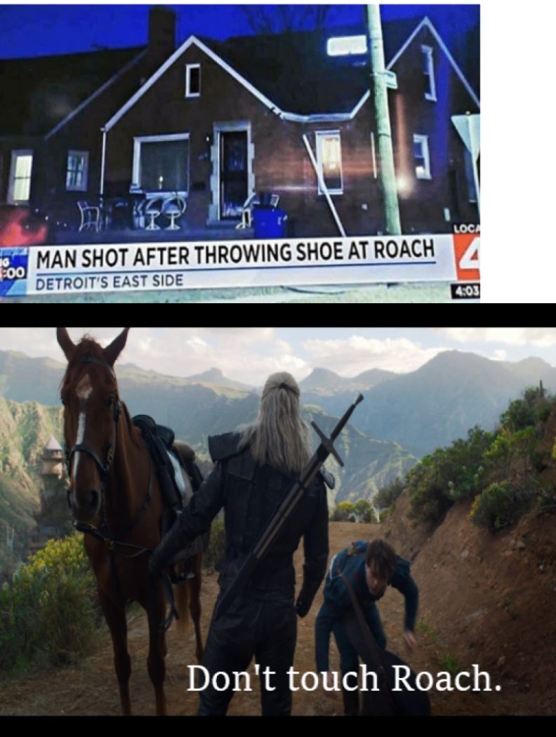 don't touch roach. | Scrolller