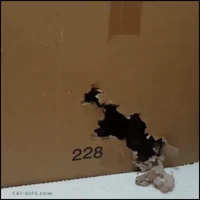 Don't you dare touch my box | Scrolller