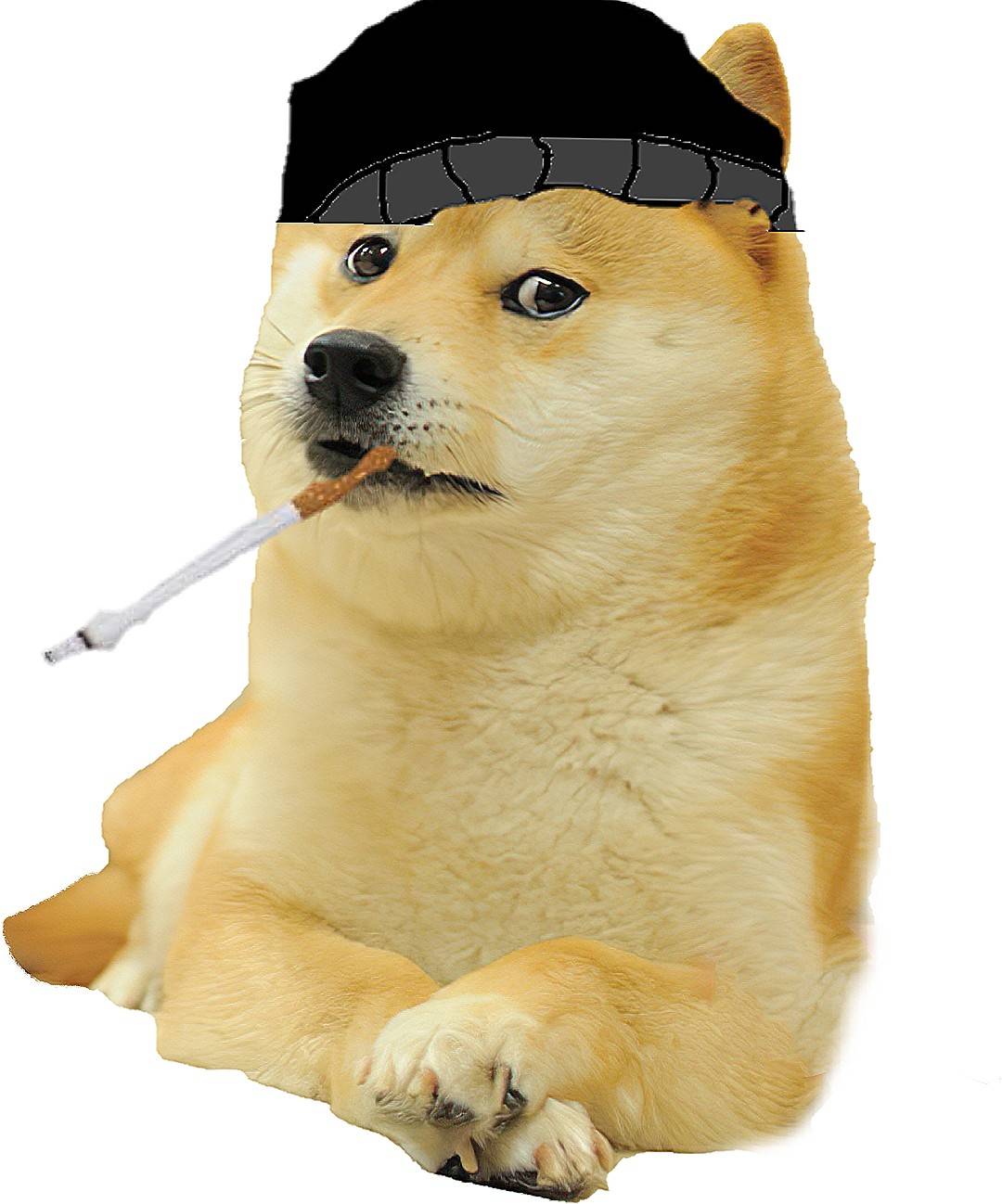 Doomer doge | Scrolller