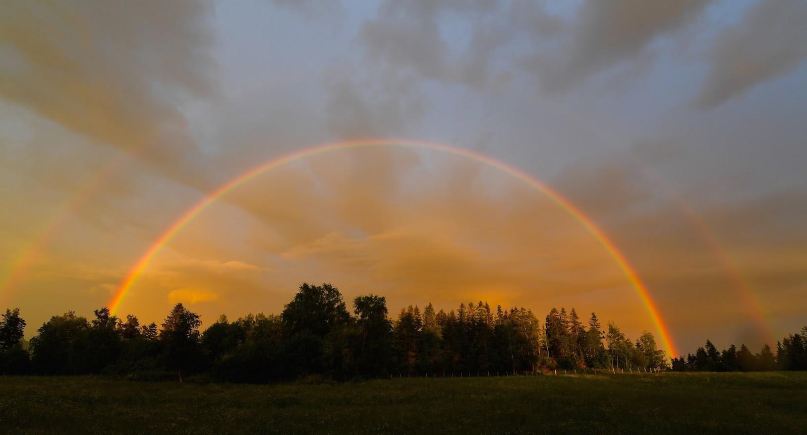 🔥 Double Rainbow | Scrolller