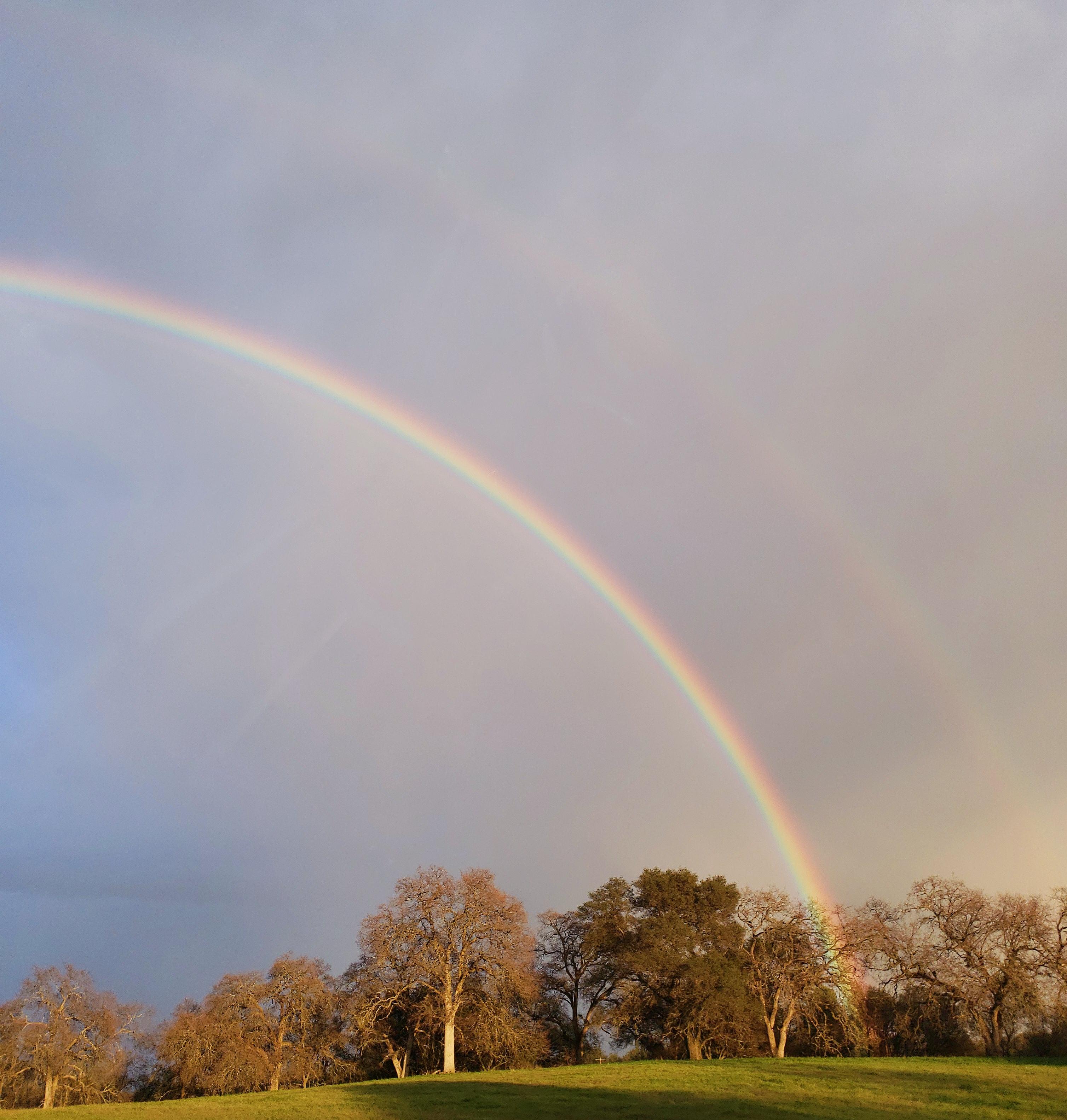 Double rainbow | Scrolller