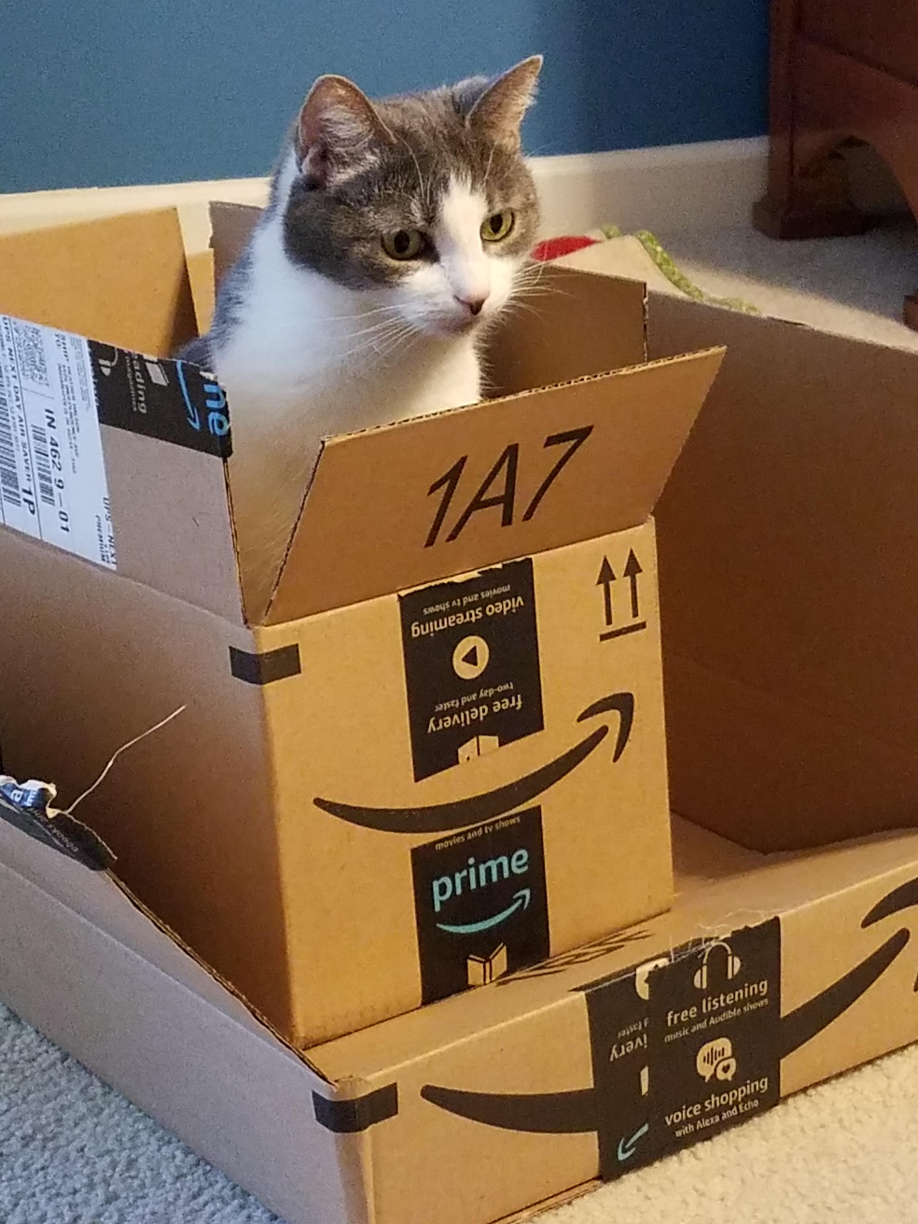 Double trap. | Scrolller