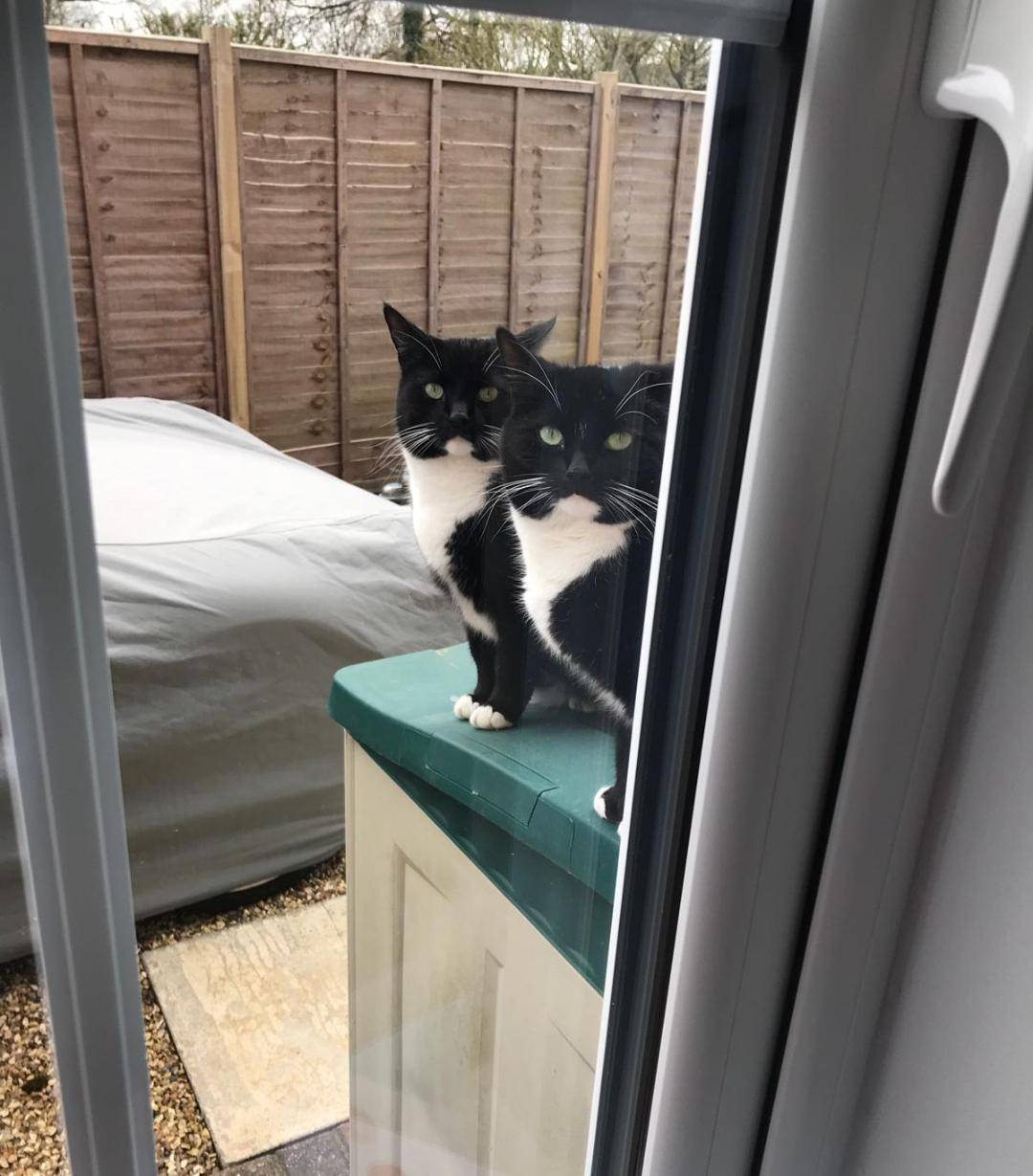 Double trouble | Scrolller