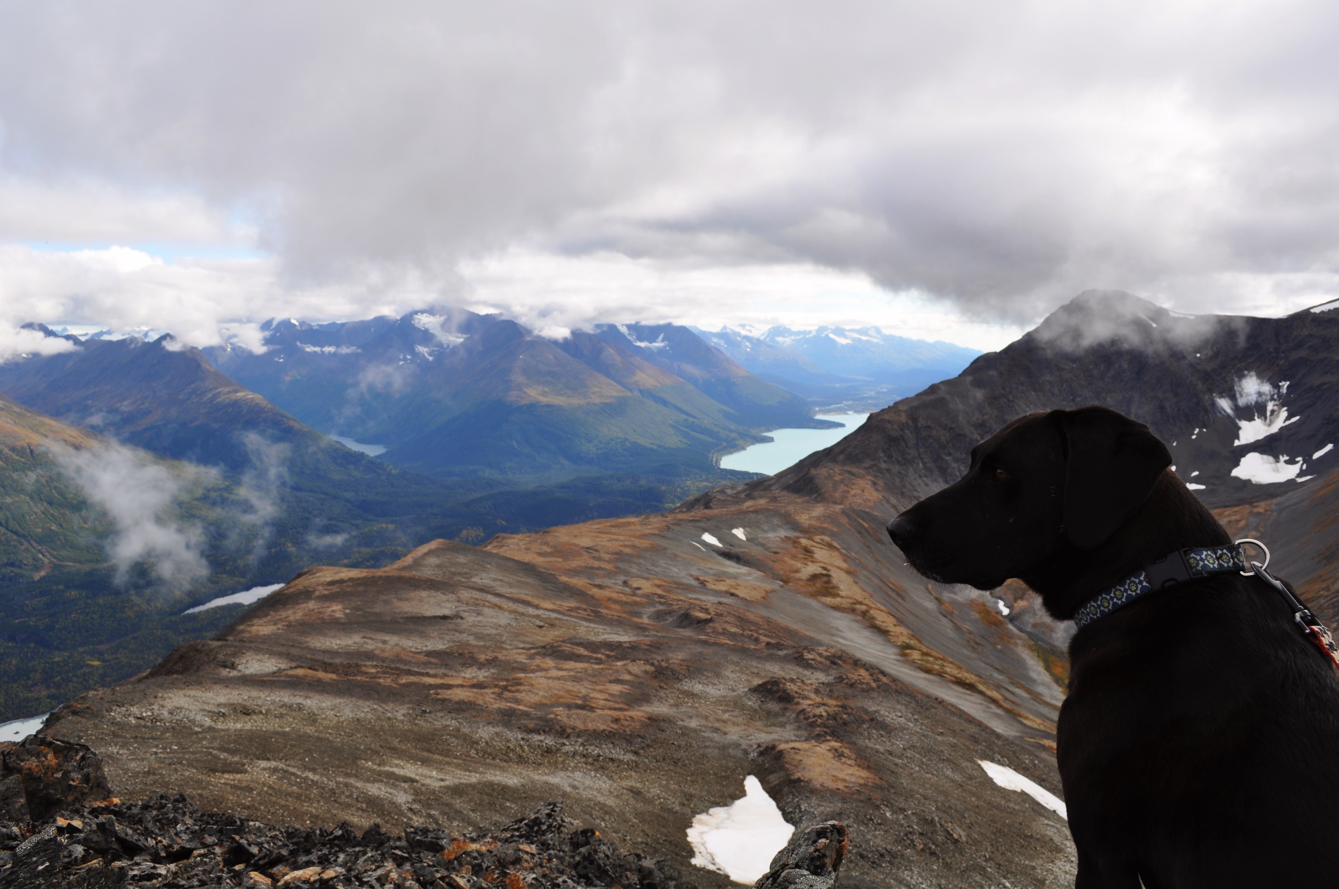 Doug is serious about his mountain adventures | Scrolller