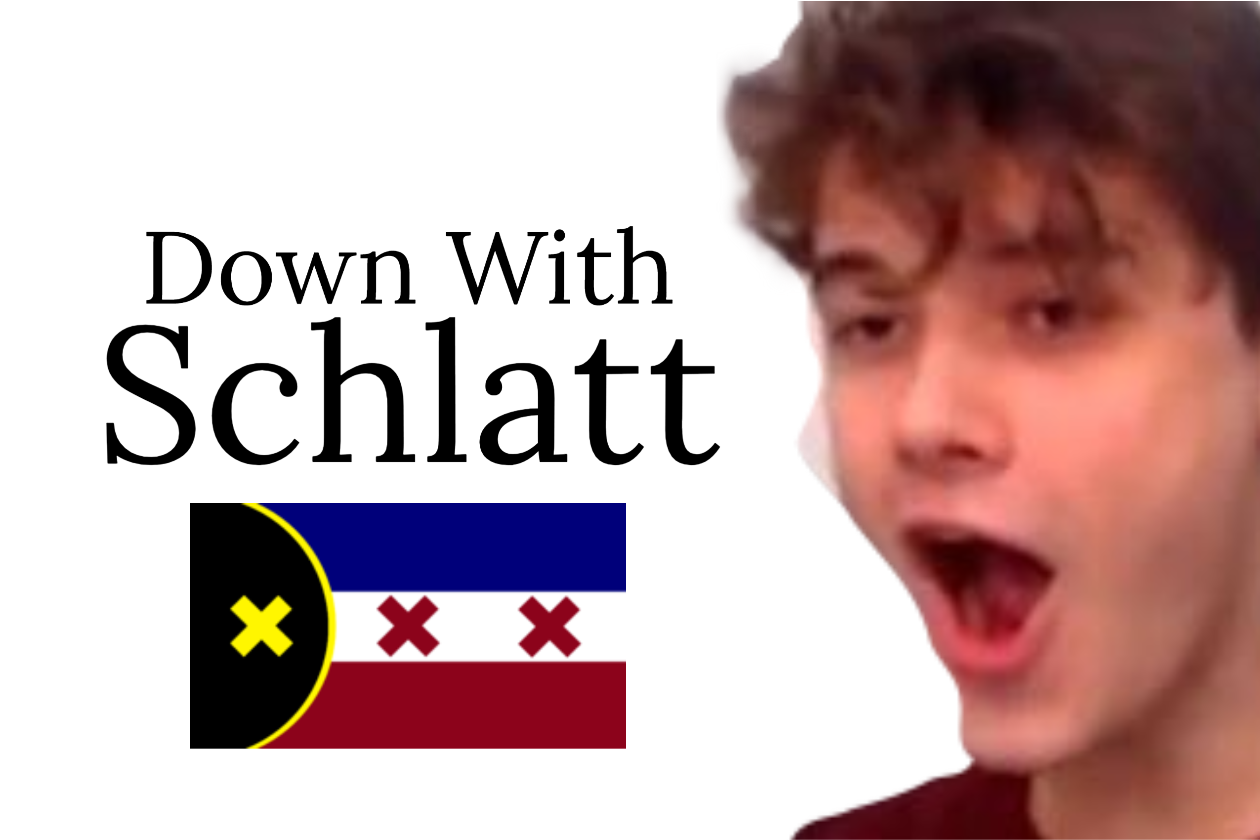 DOWN WITH SCHLATT | Scrolller