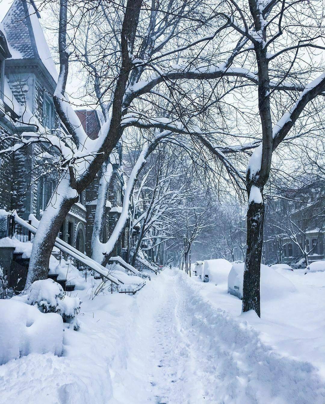 Downtown Montreal - Mid January | Scrolller