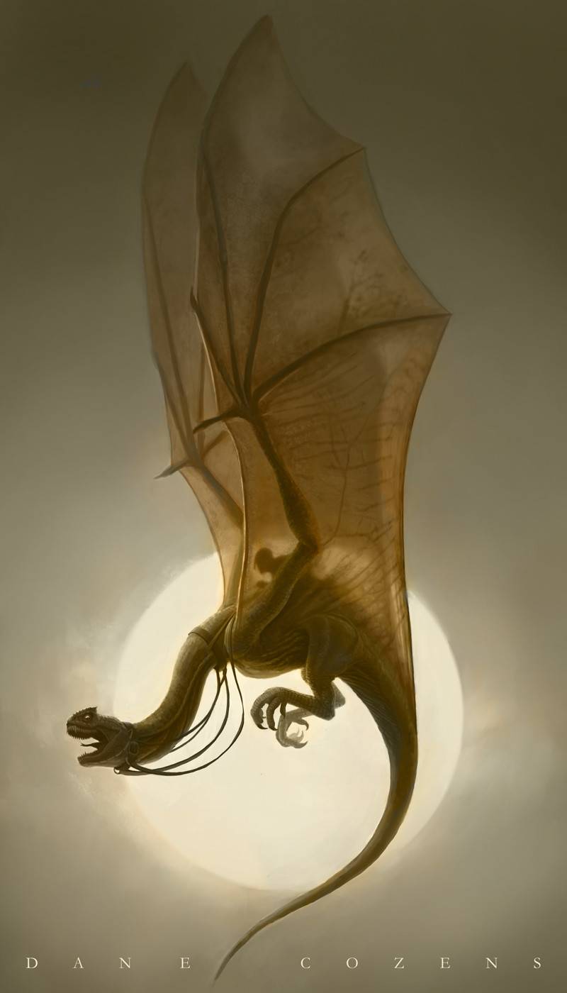 Dragon Rider by Dane Cozens | Scrolller