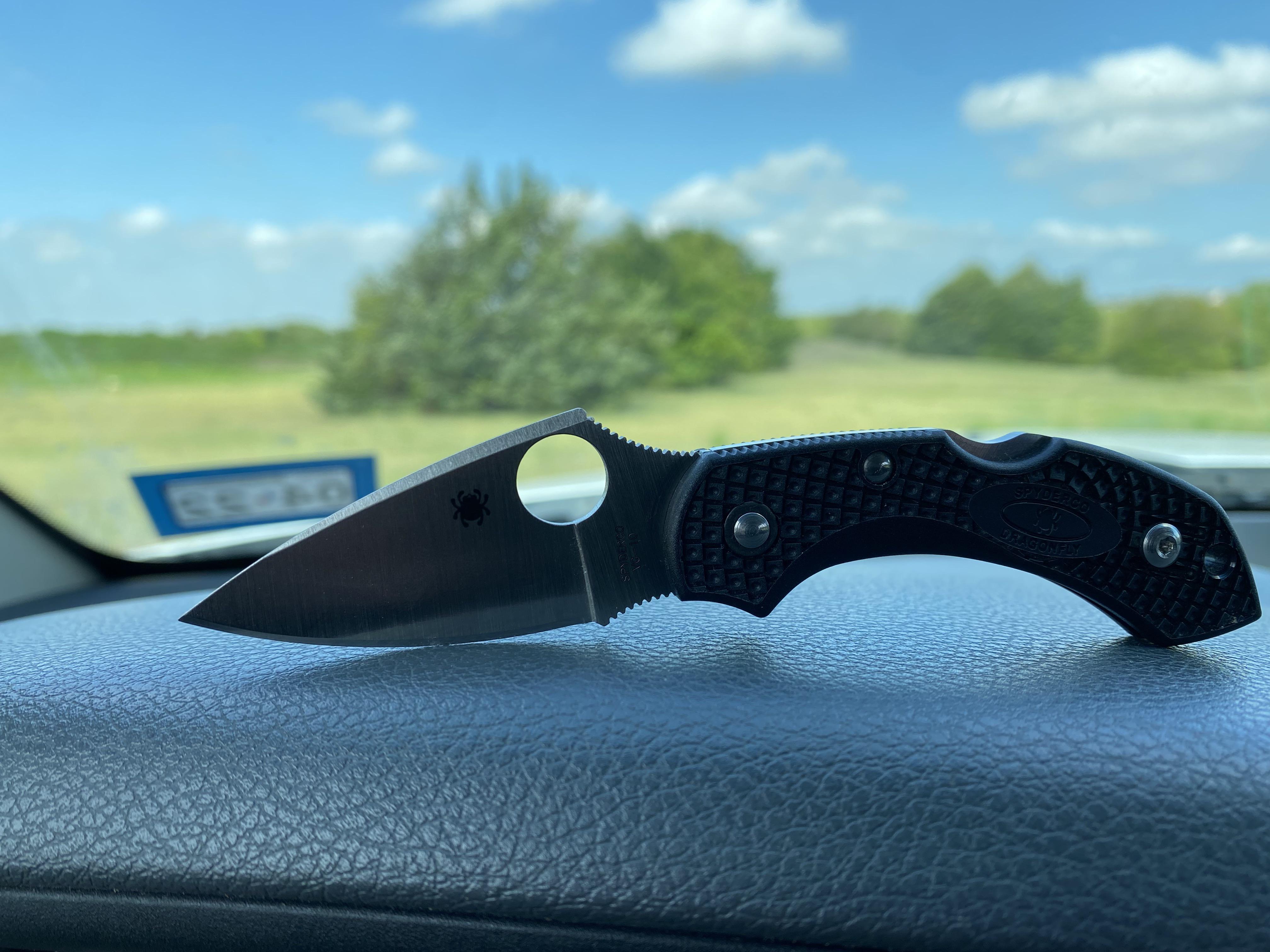 Dragonfly landed on the dash. 🕷Spyderco🕷 | Scrolller