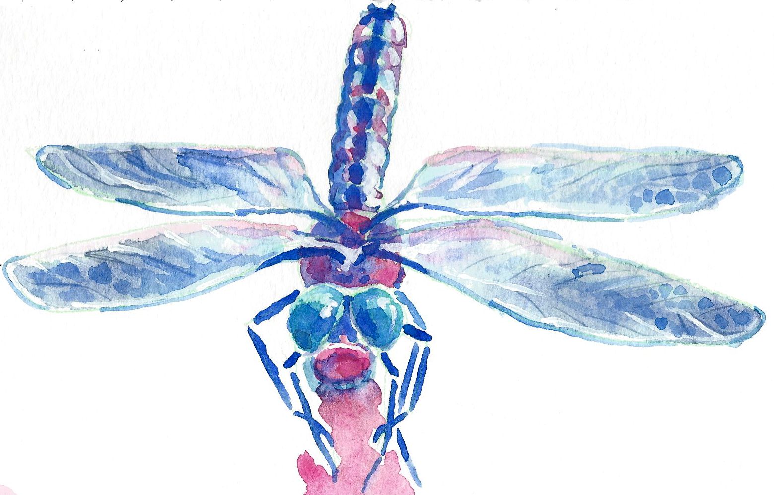 Dragonfly speedpaint | Scrolller