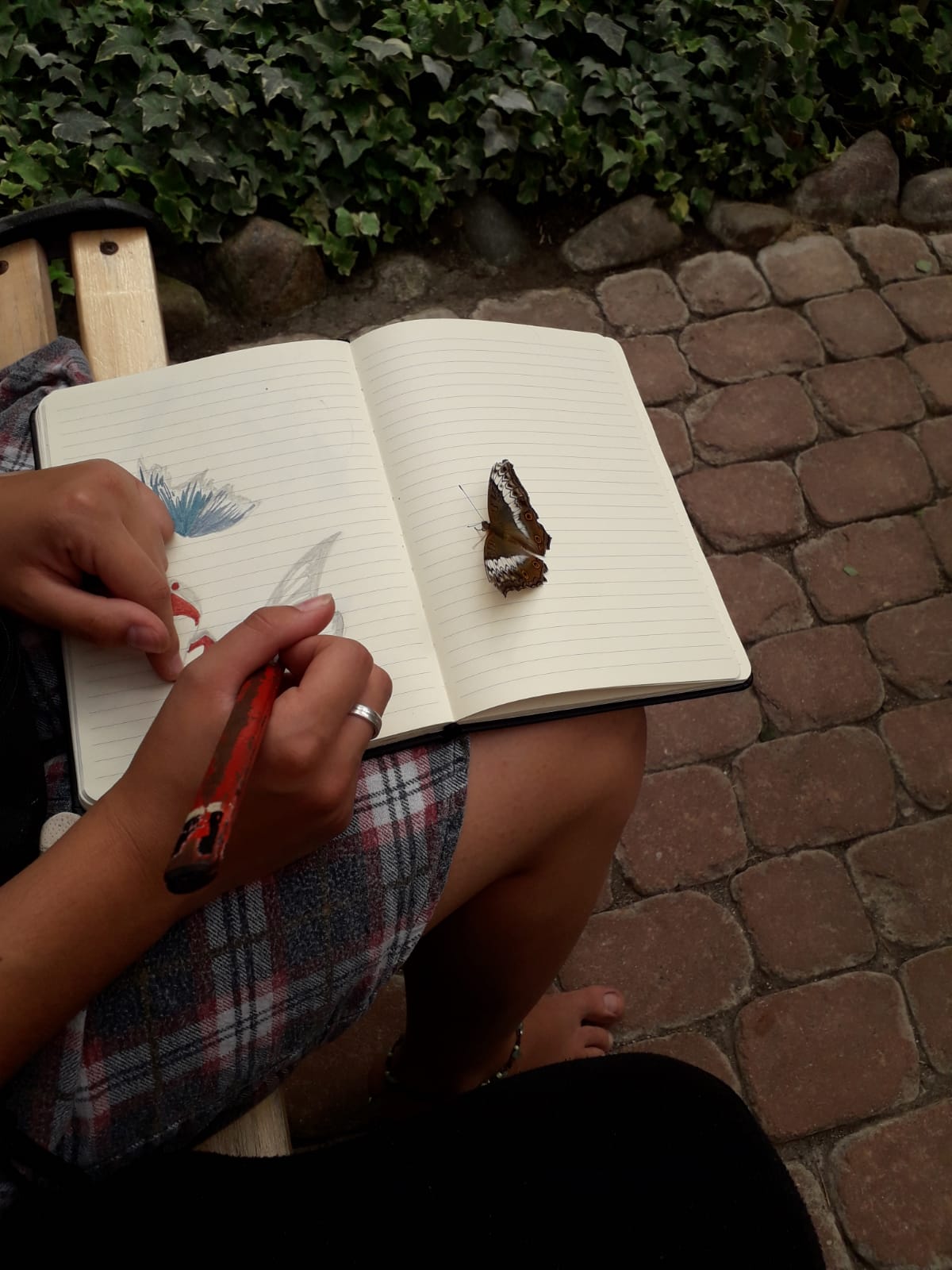 Draw me hooman | Scrolller