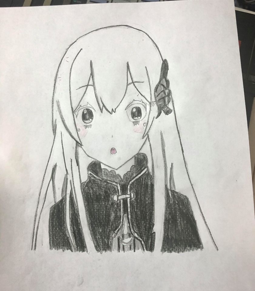 Drew Echidna | Scrolller