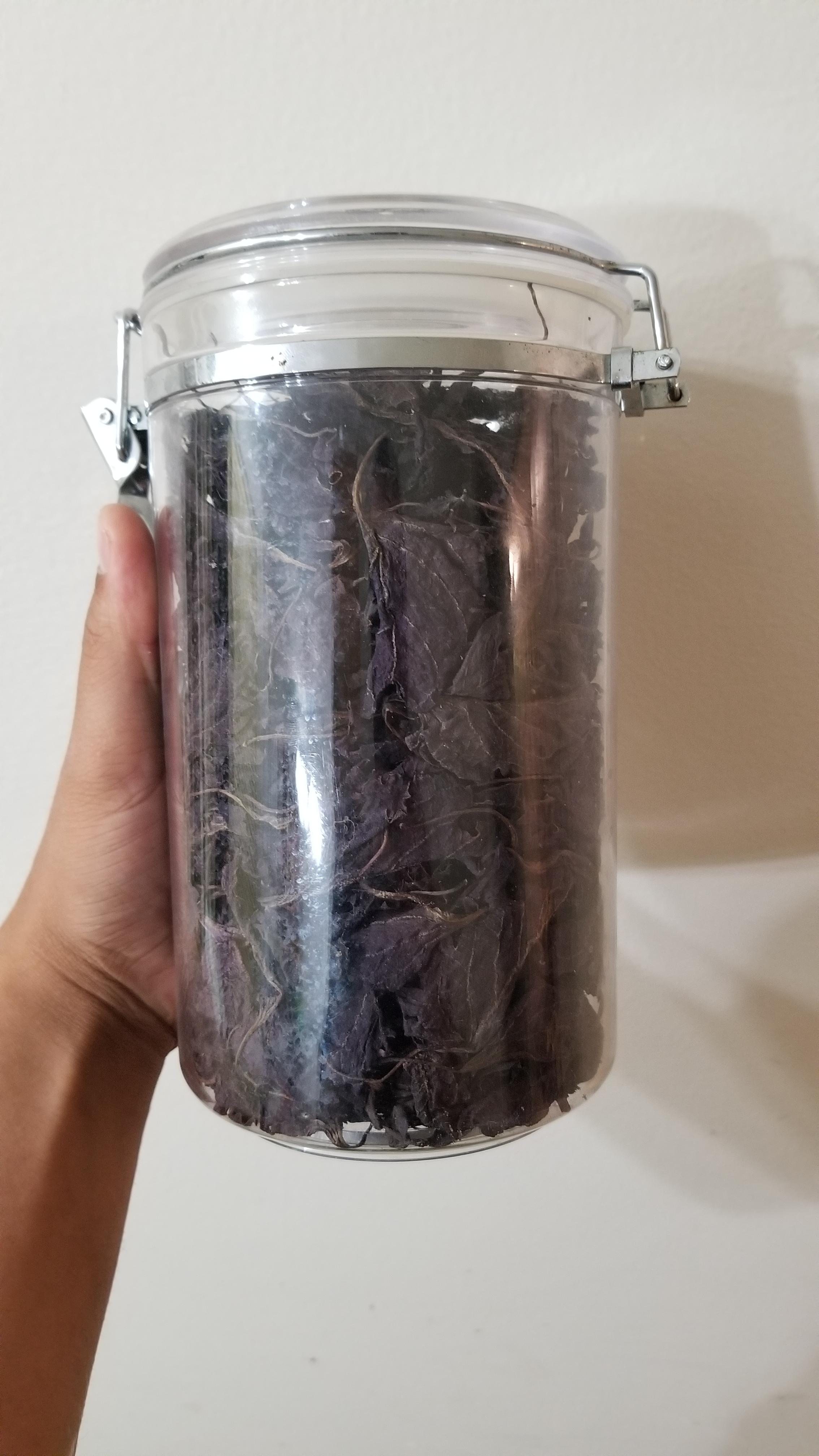 Dried purple ruffle basil | Scrolller