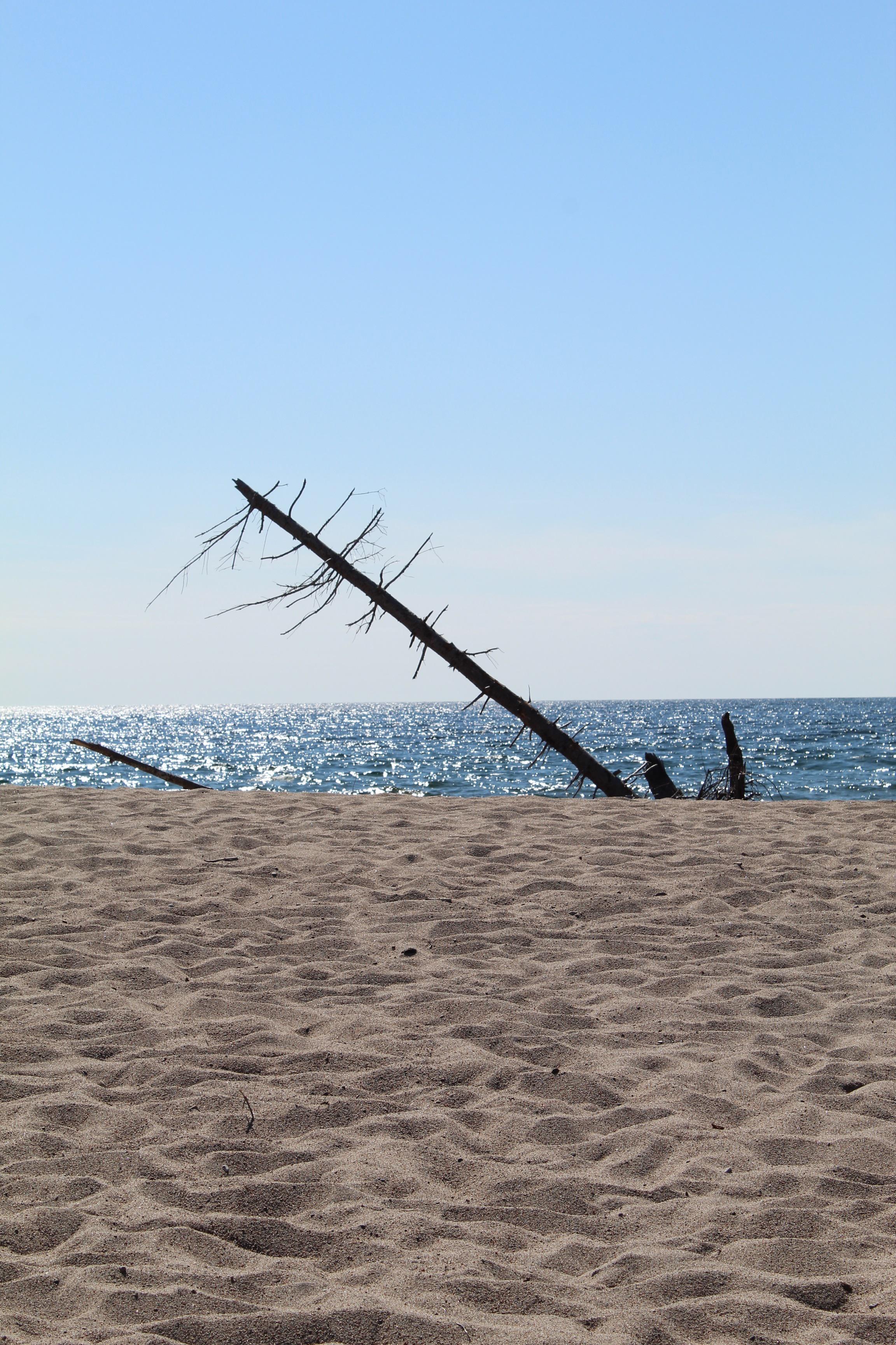 Driftwood on Old Woman Bay, Lake Superior [OC 2304 x 3456] | Scrolller