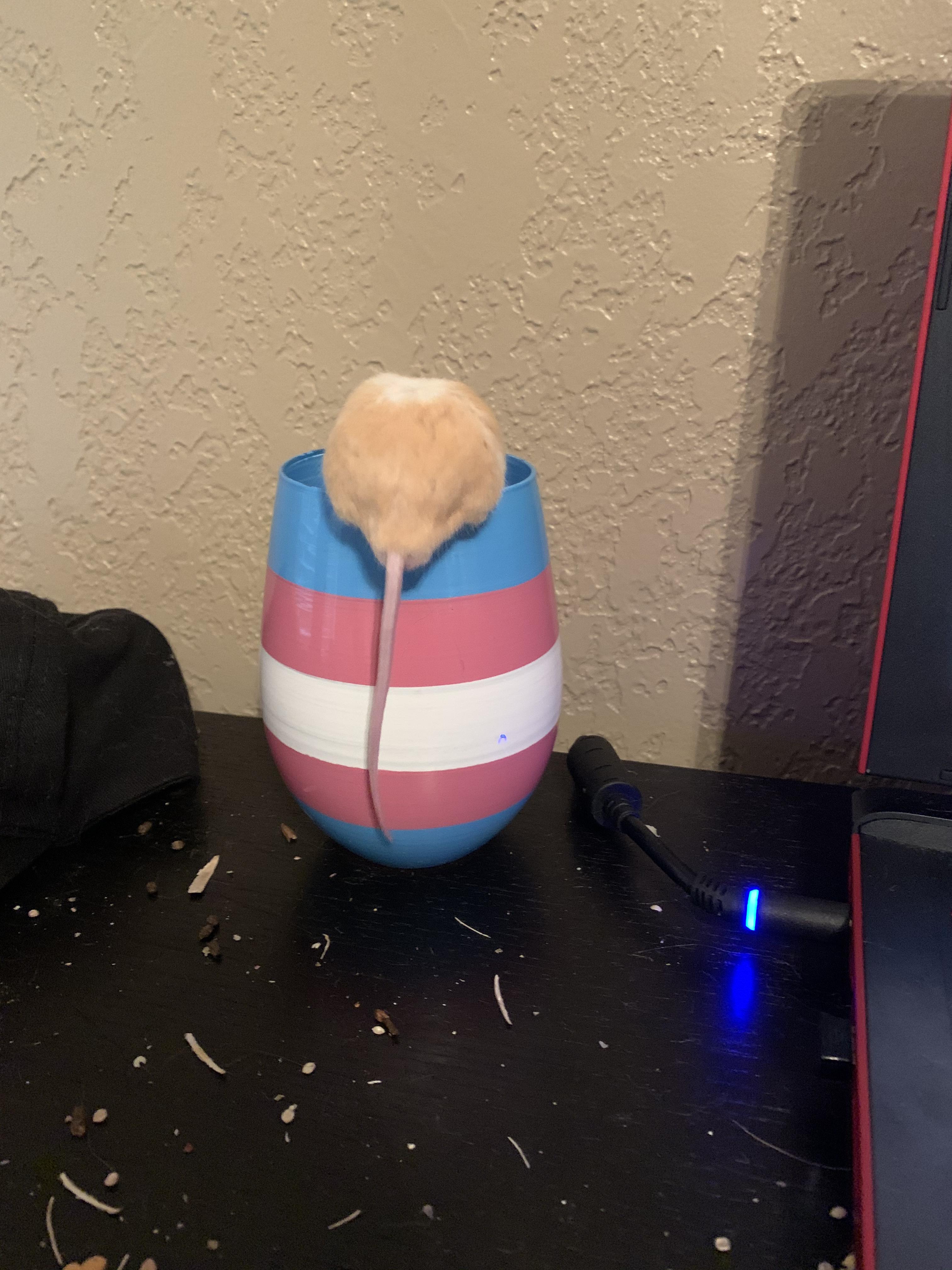 Drinking tha juice | Scrolller