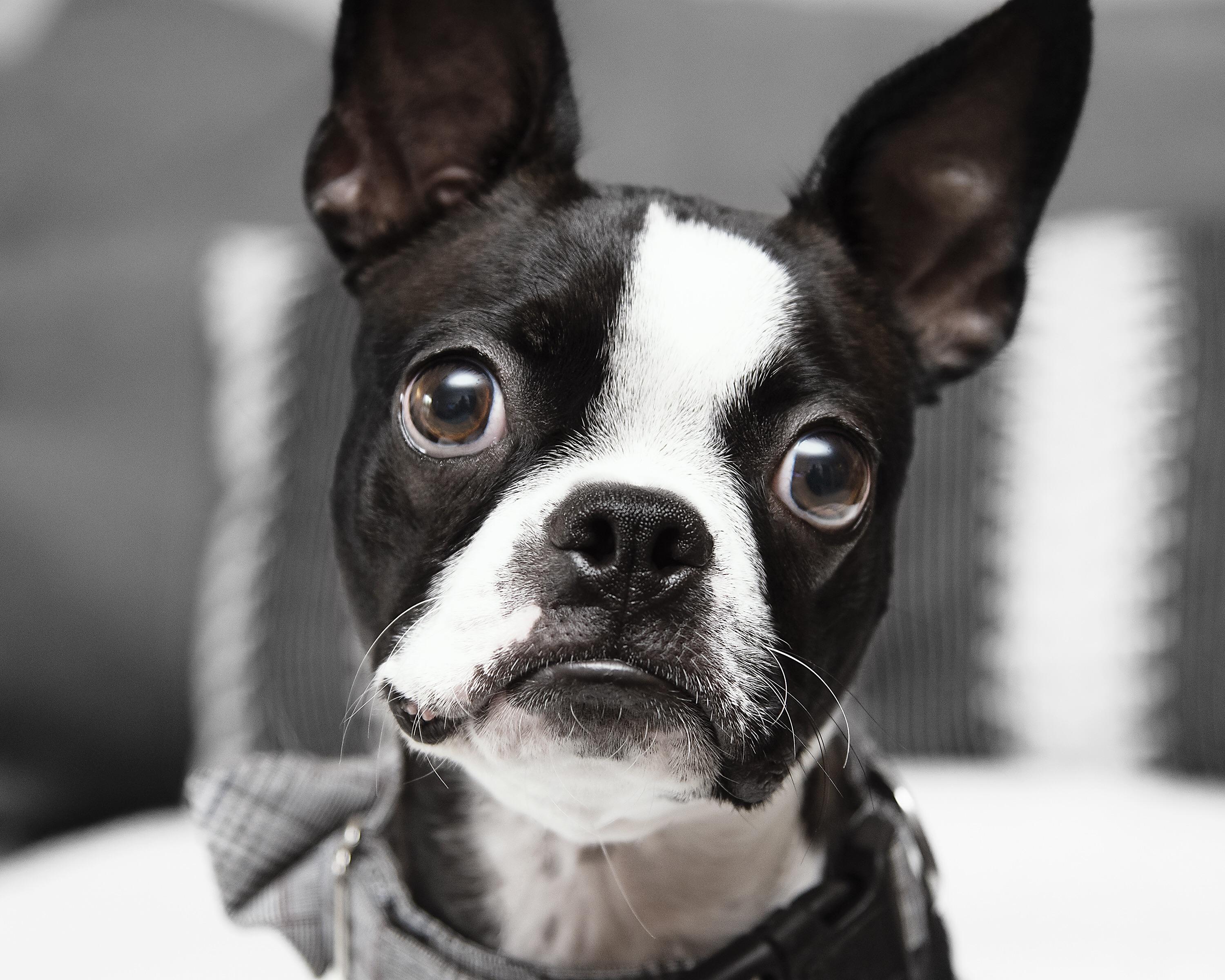 Duke when he moonlighted as a Male Model | Scrolller